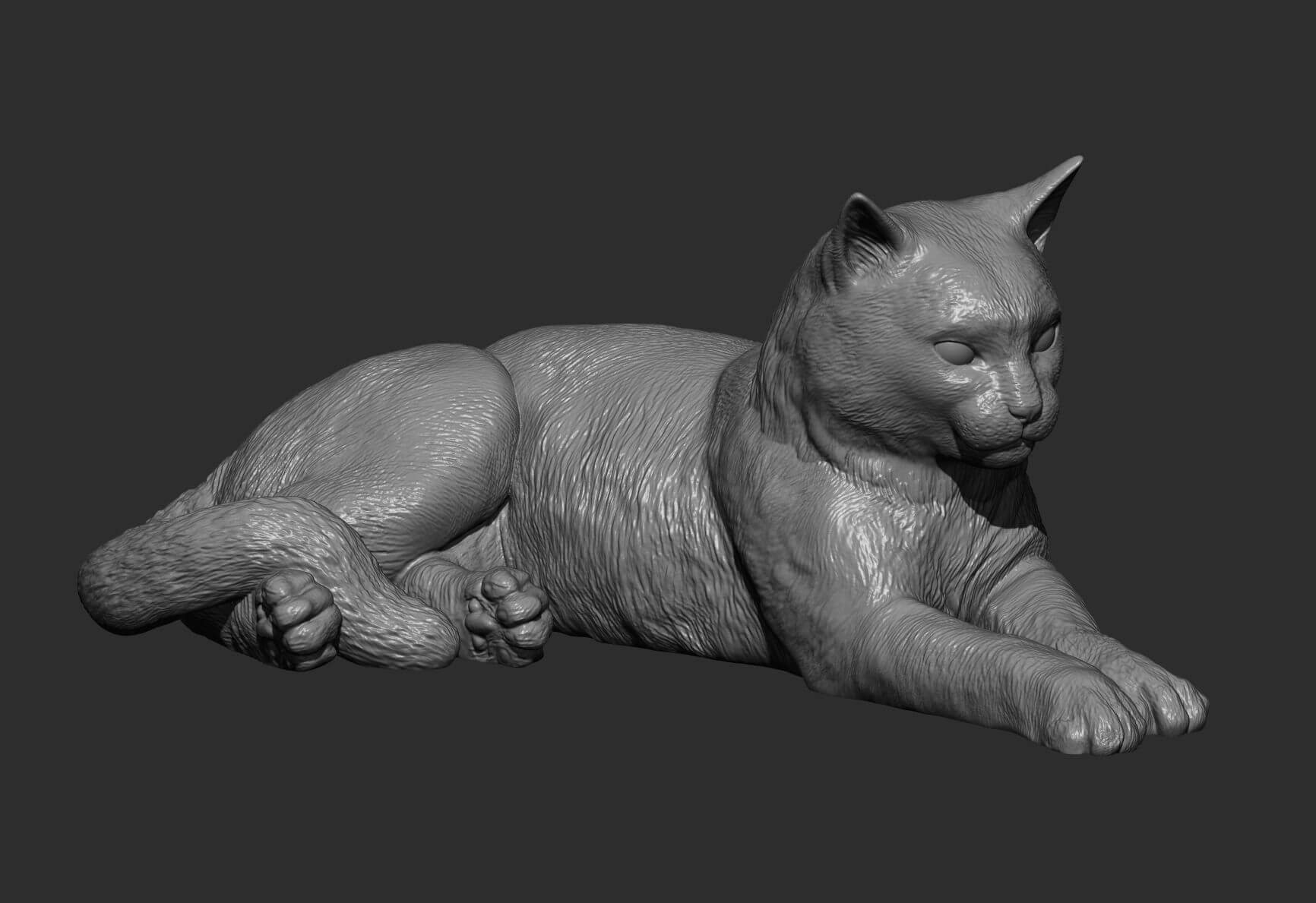Cat Is Lying Down - 3D Model by Alexander3dart