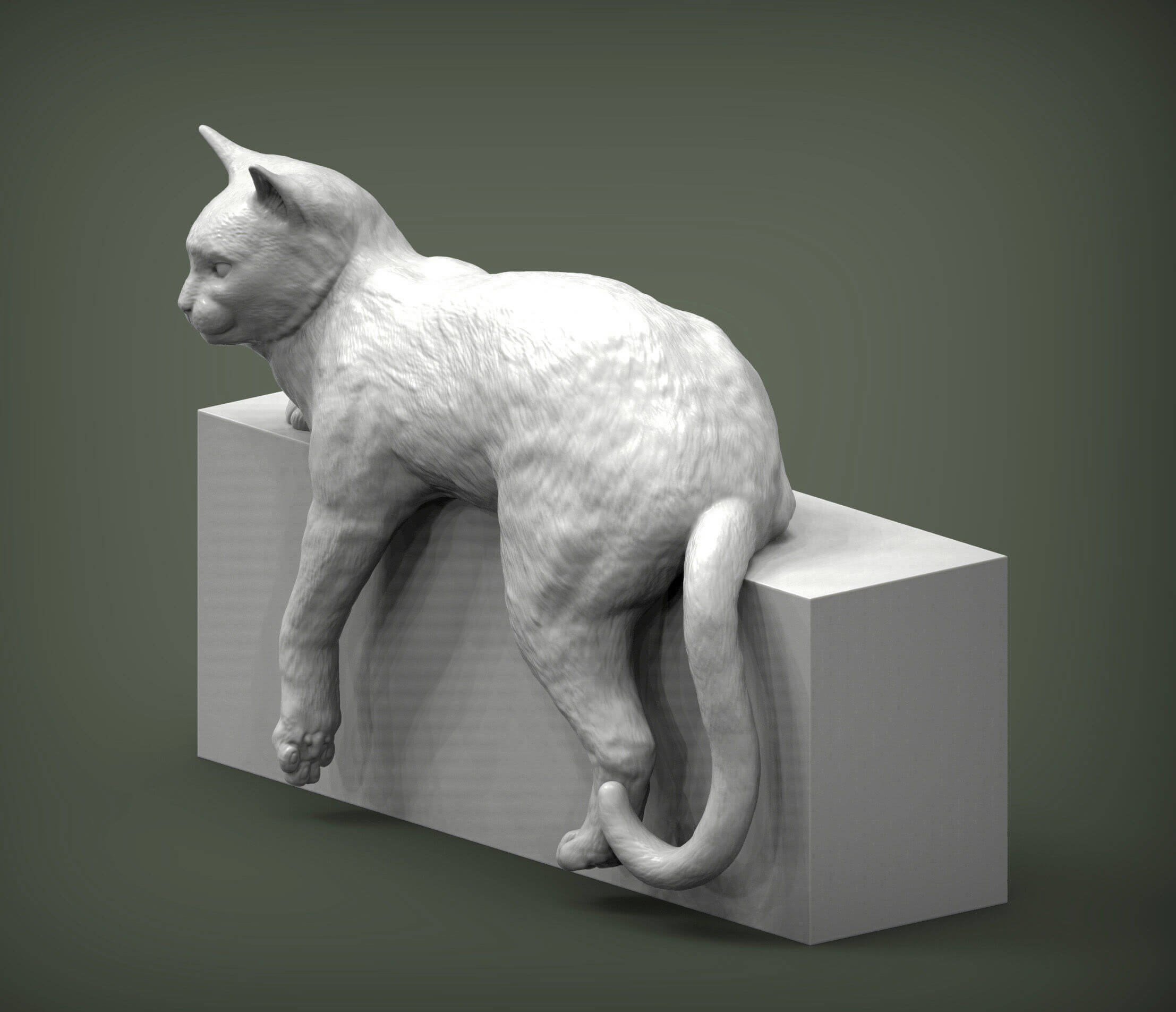 Cat Is Lying on The Shelf - 3D Model by Alexander3dart