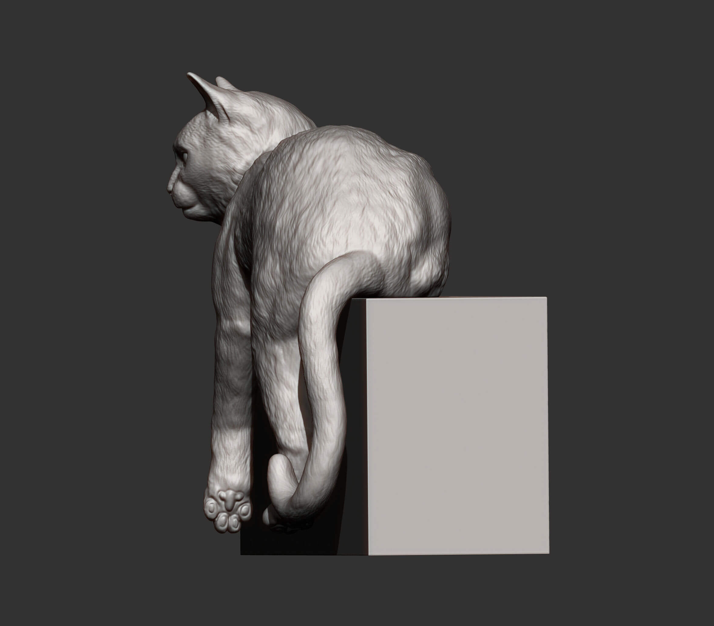 Cat Is Lying on The Shelf - 3D Model by Alexander3dart