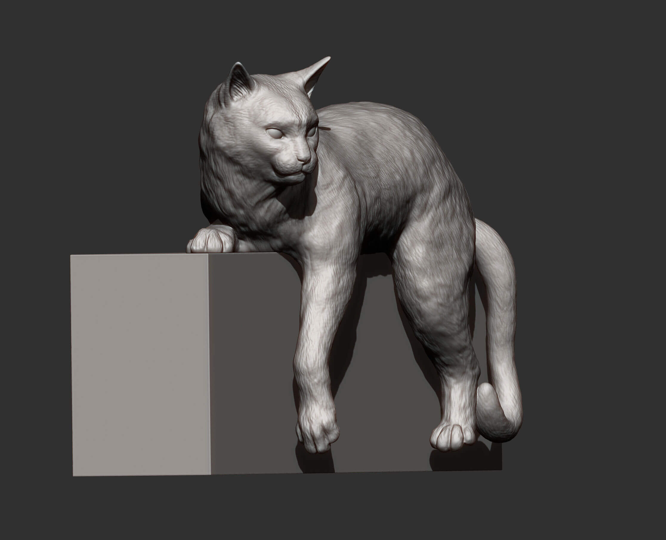 Cat Is Lying on The Shelf - 3D Model by Alexander3dart