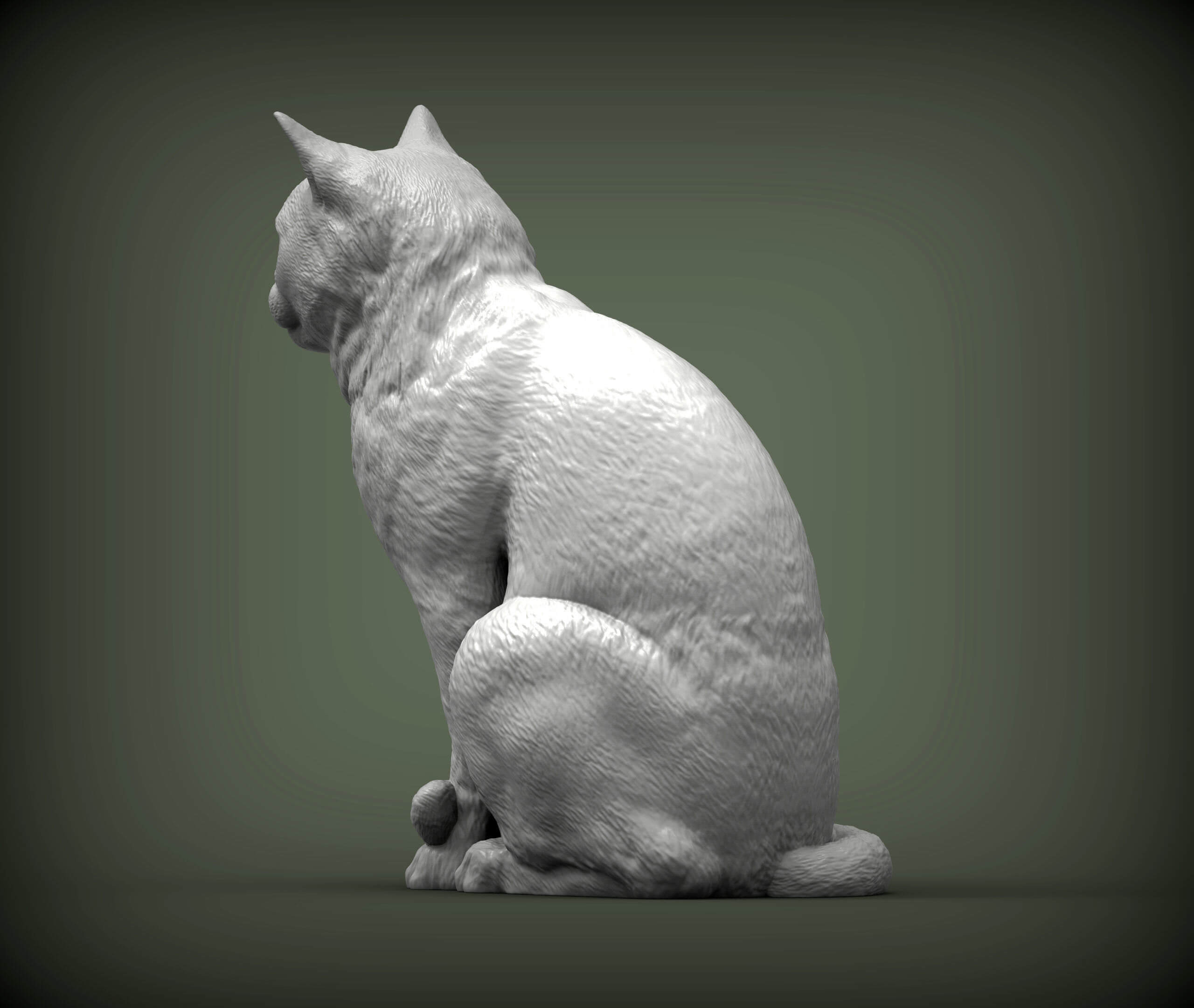 Cat Is Sitting - 3D Model by Alexander3dart