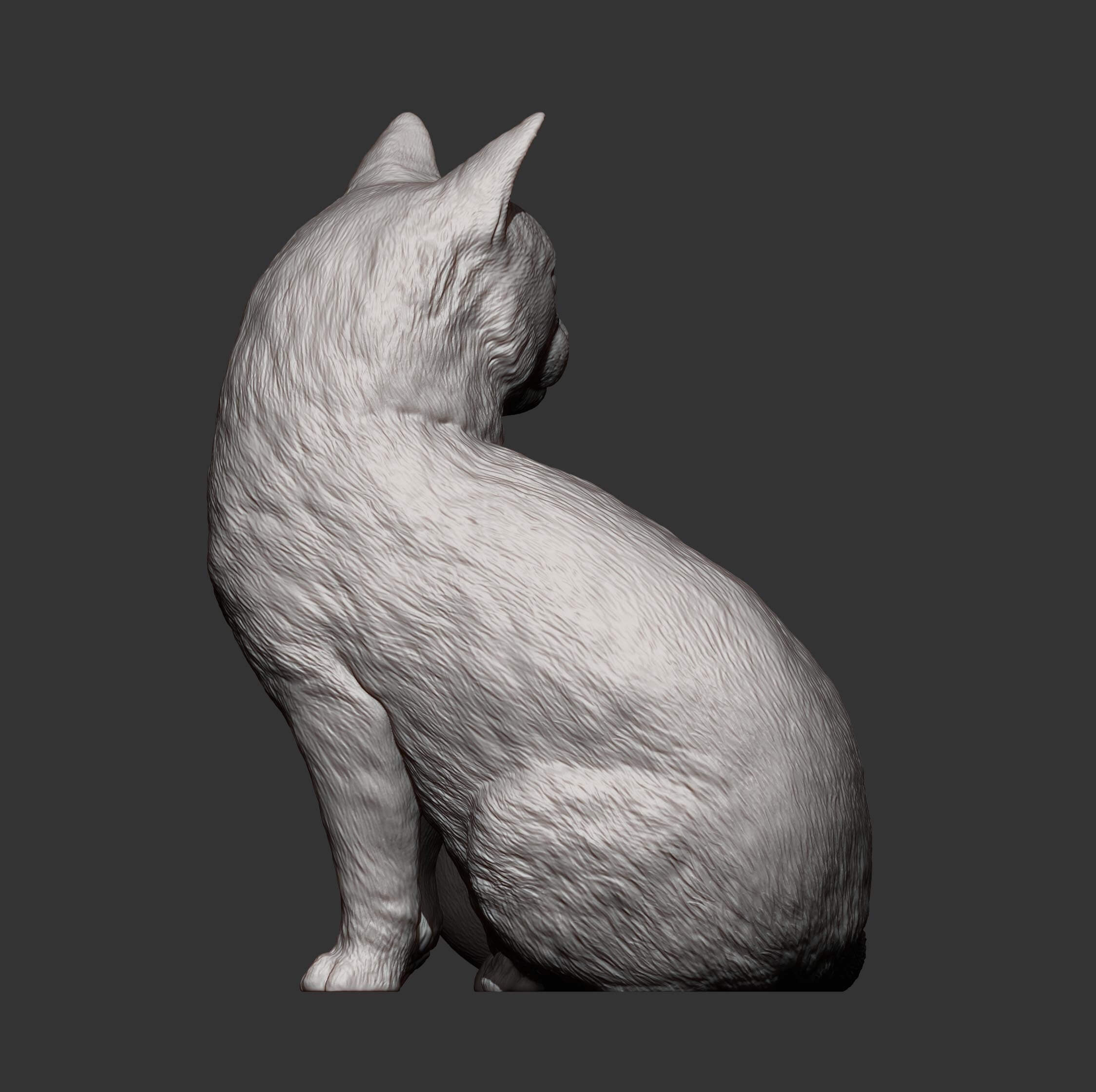 Cat Looks Back - 3D Model by Alexander3dart