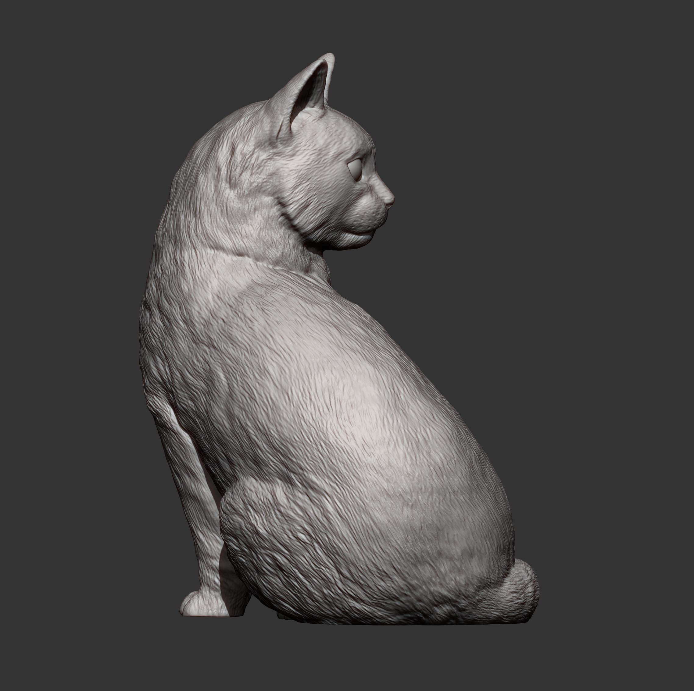 Cat Looks Back - 3D Model by Alexander3dart