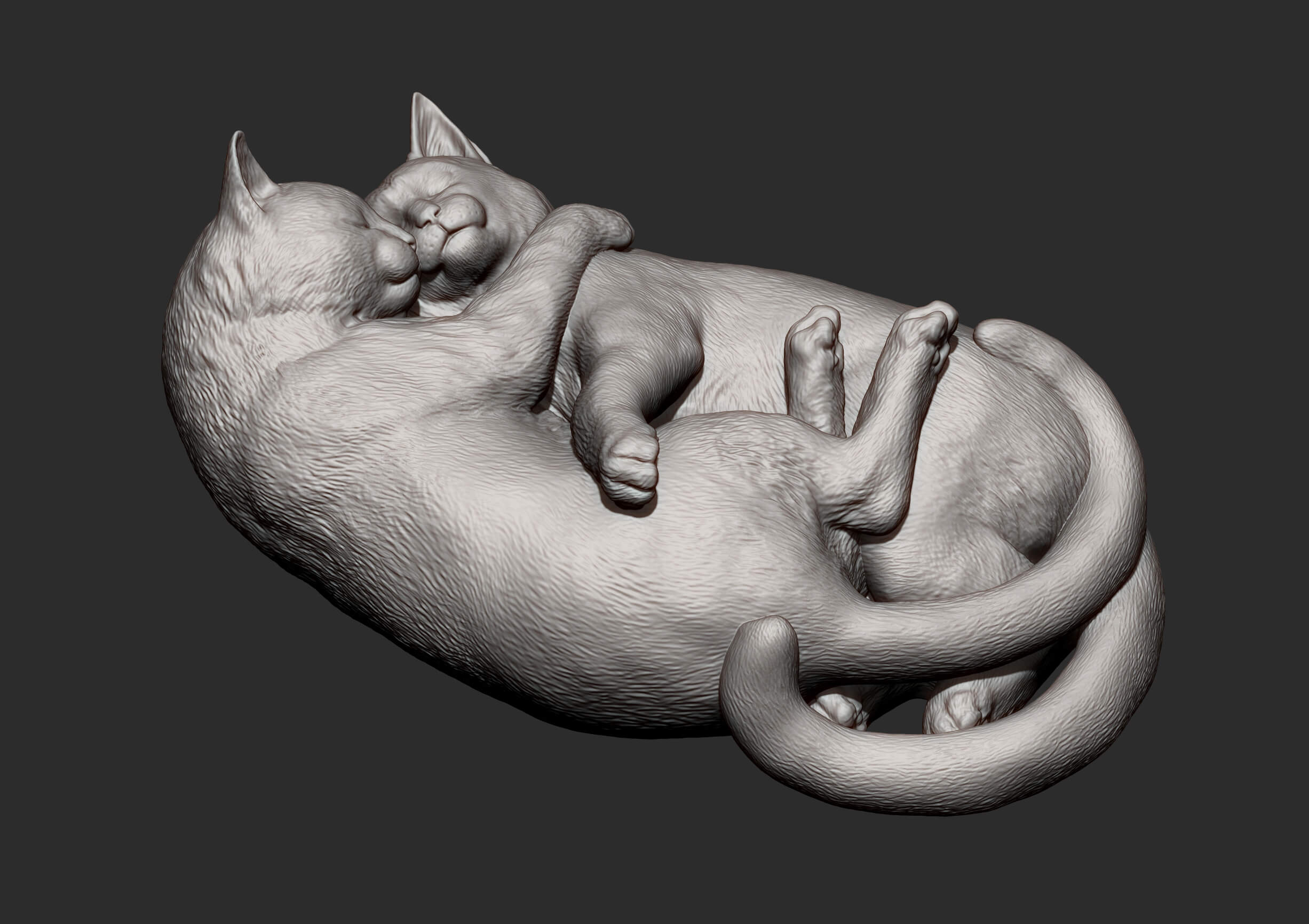 Cats in Love Sleep - 3D Model by Alexander3dart