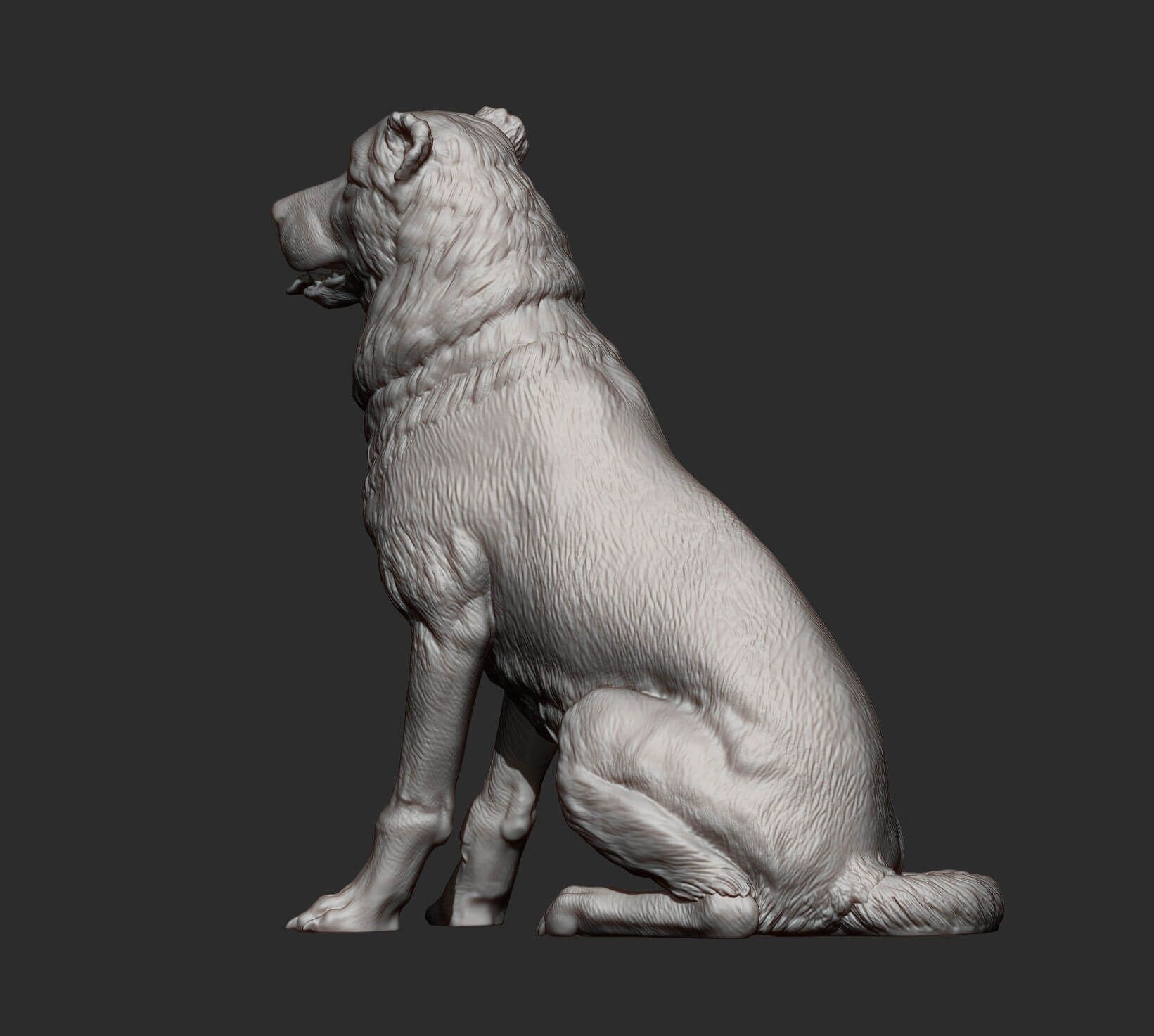 Central Asian Shepherd Dog 3D Print Model by Alexander3dart