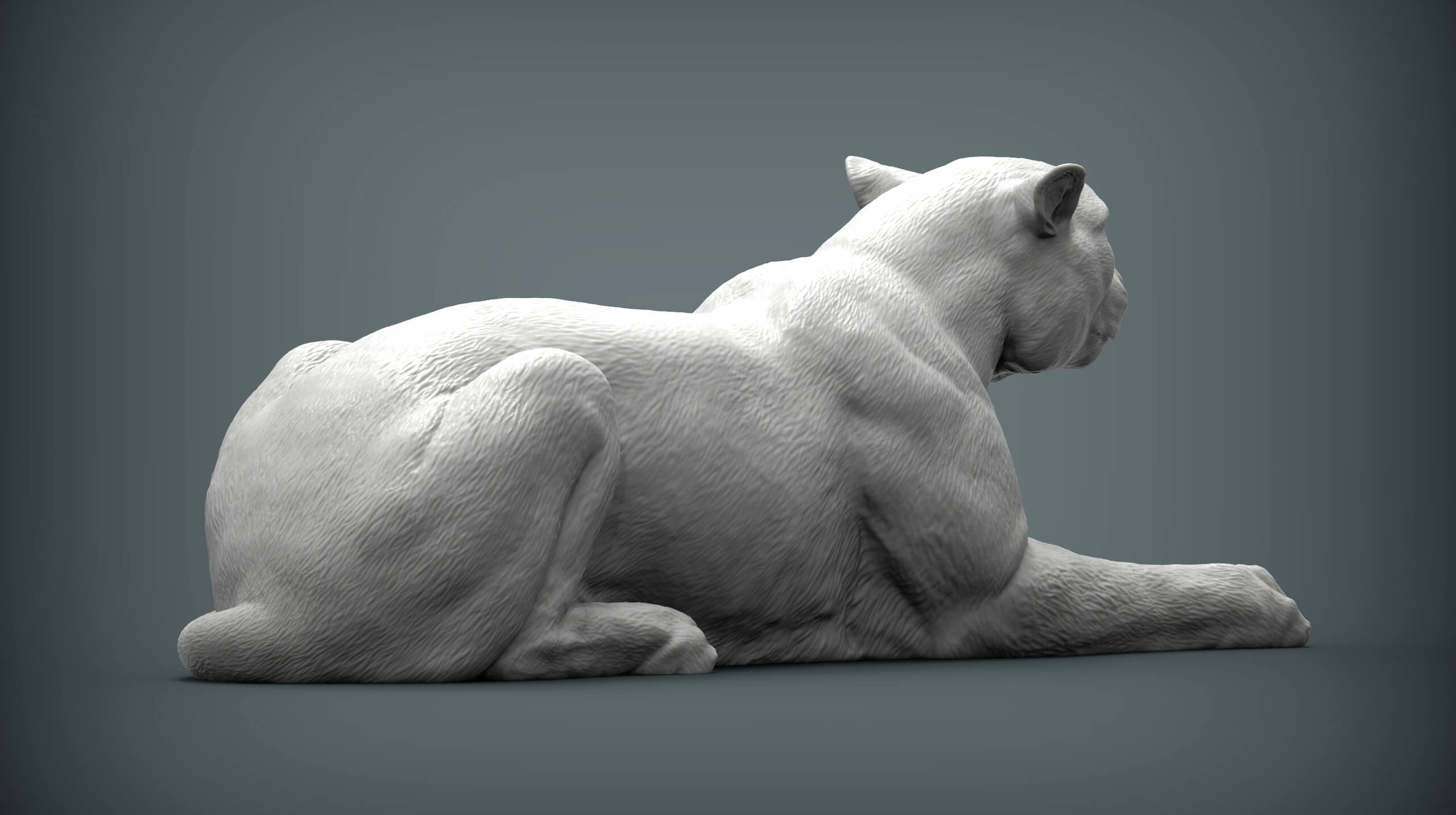 Cheetah 3D Print Model by Alexander3dart