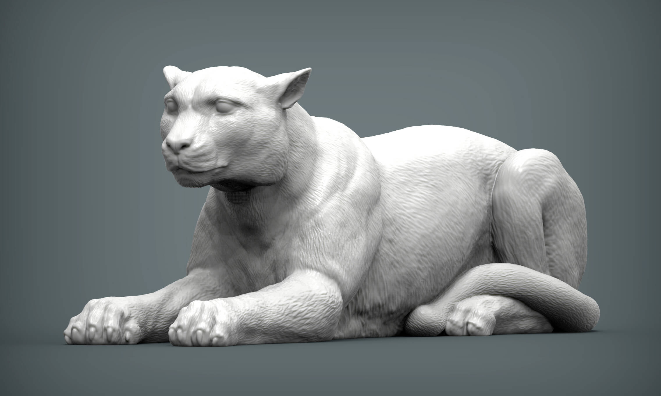Cheetah 3D Print Model by Alexander3dart