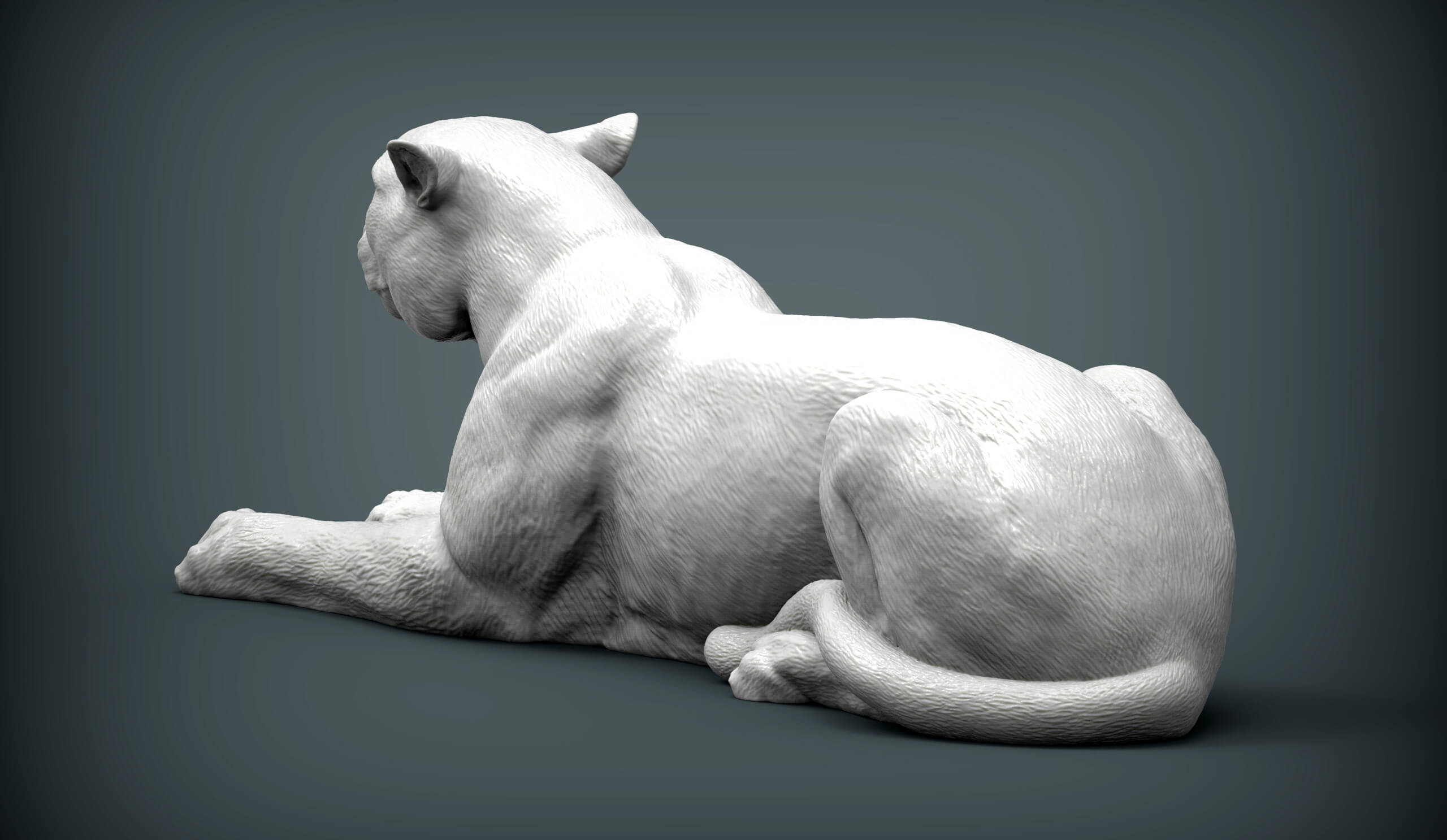 Cheetah 3D Print Model by Alexander3dart