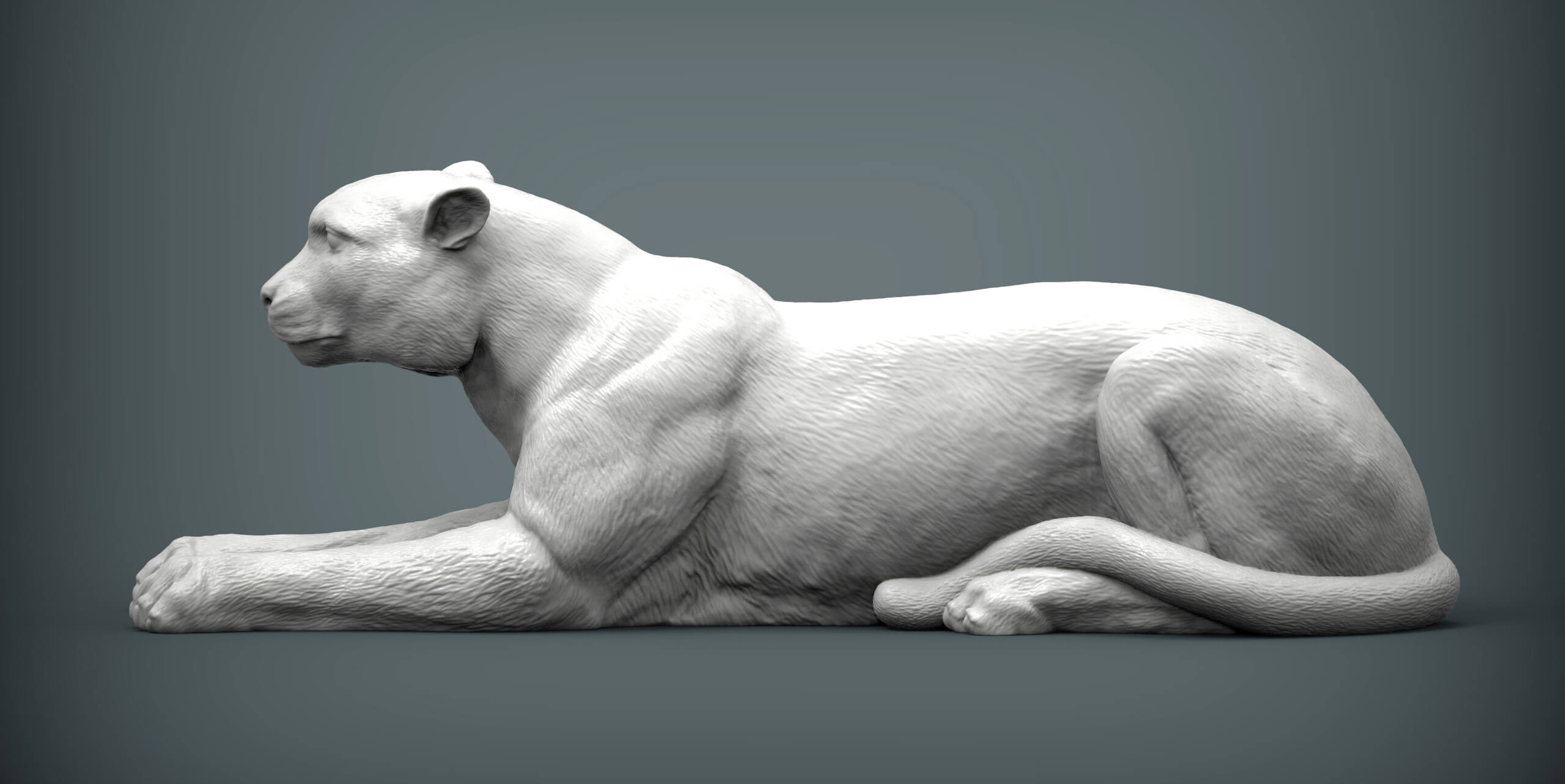 Cheetah 3D Print Model by Alexander3dart