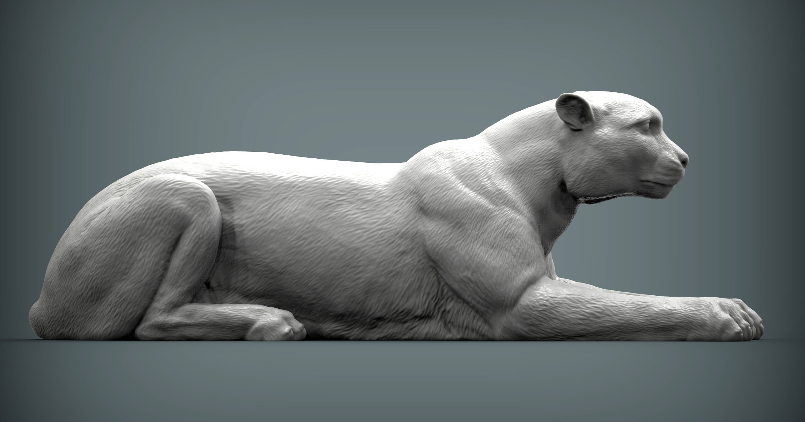 Cheetah 3D Print Model by Alexander3dart