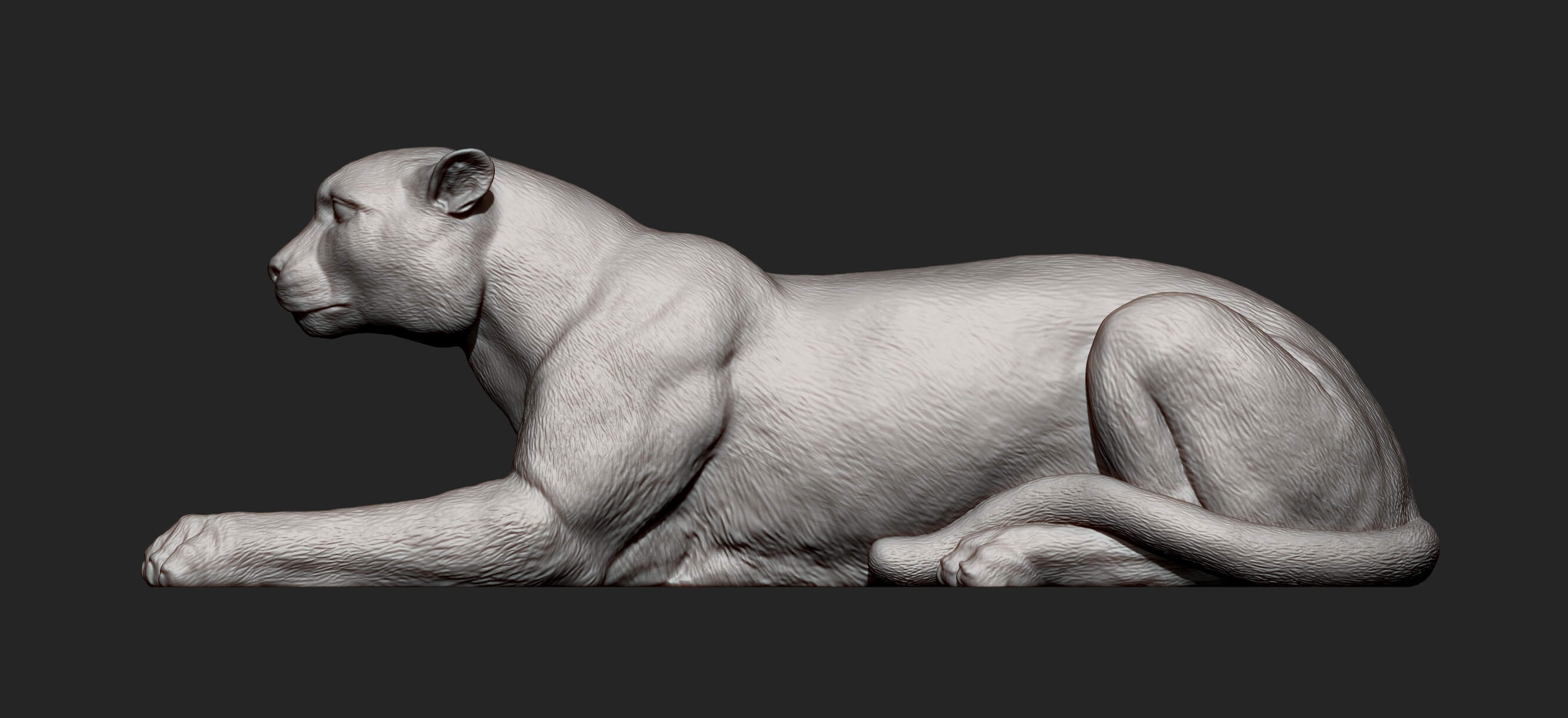 Cheetah 3D Print Model by Alexander3dart