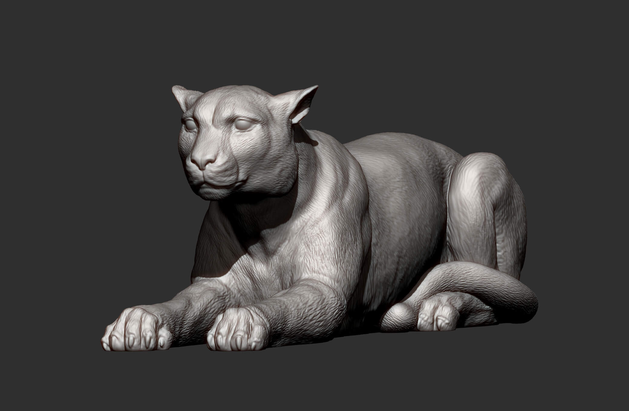Cheetah 3D Print Model by Alexander3dart