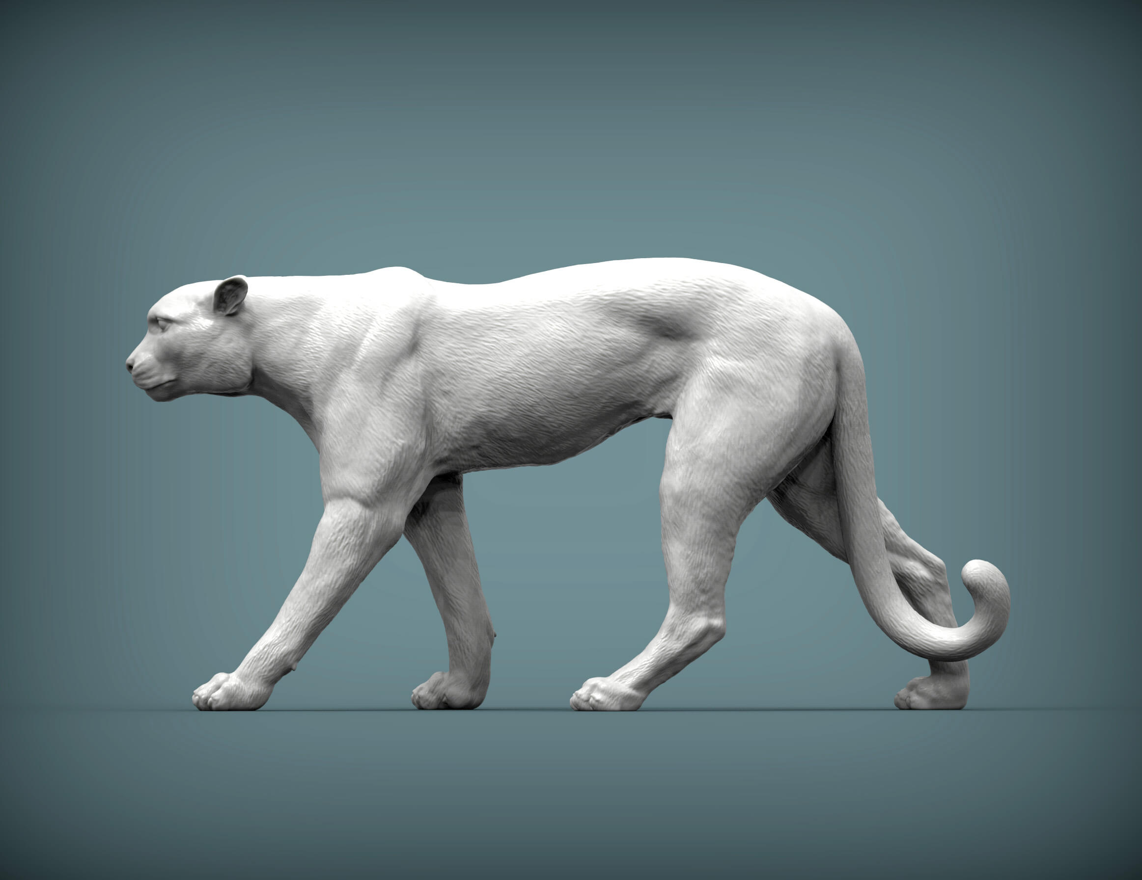 Cheetah 3D Print Model by Alexander3dart