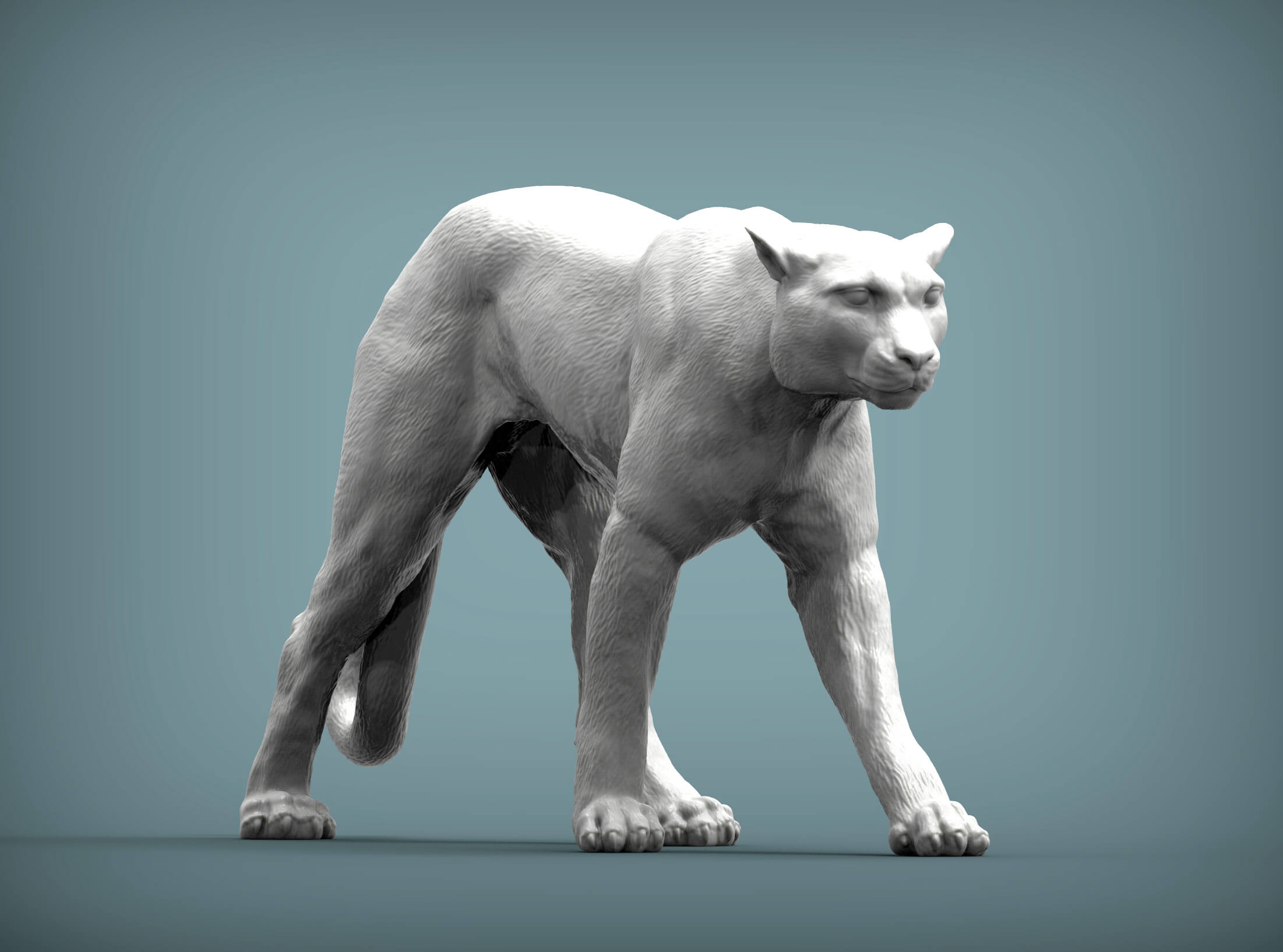 Cheetah 3D Print Model by Alexander3dart