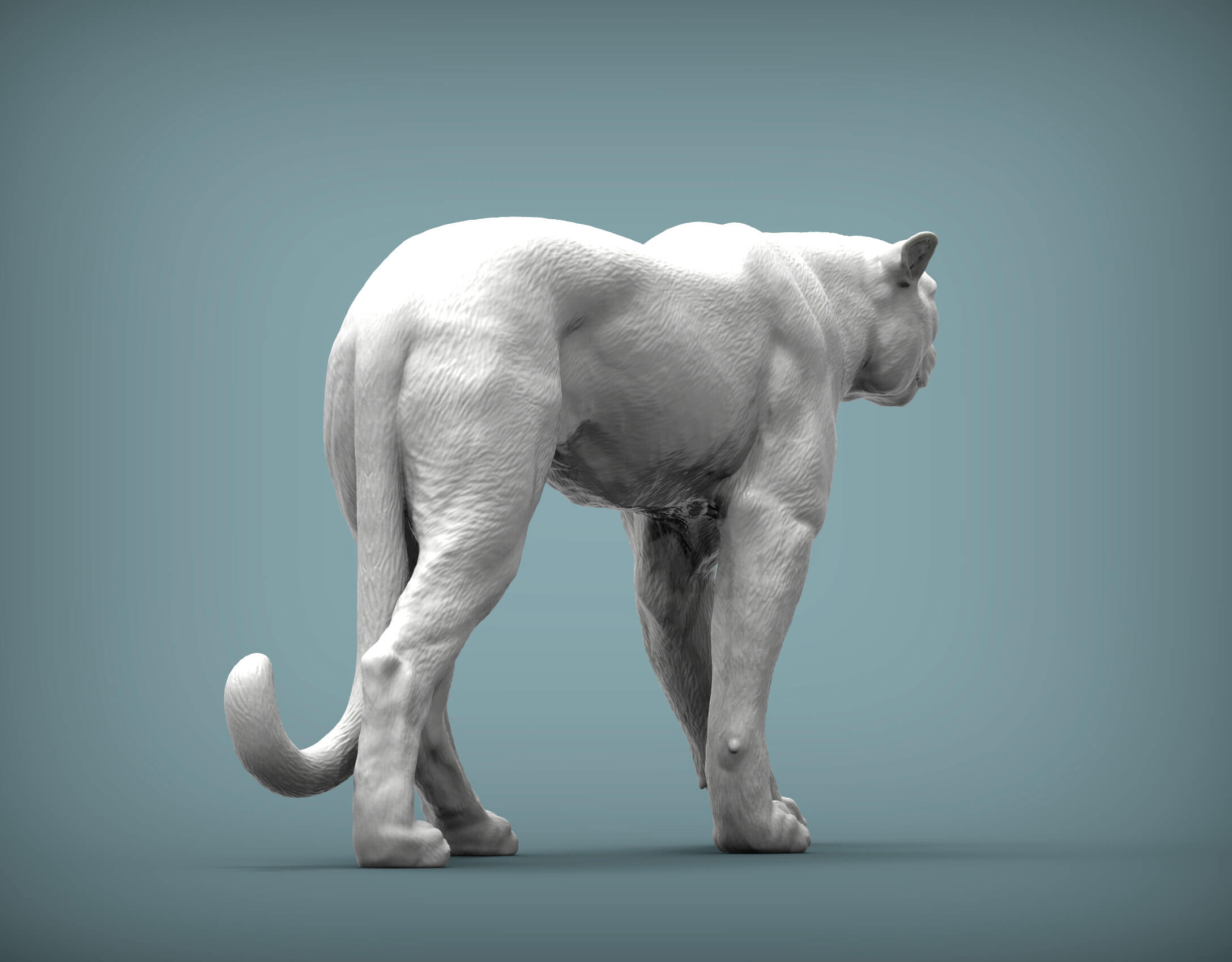 Cheetah 3D Print Model by Alexander3dart