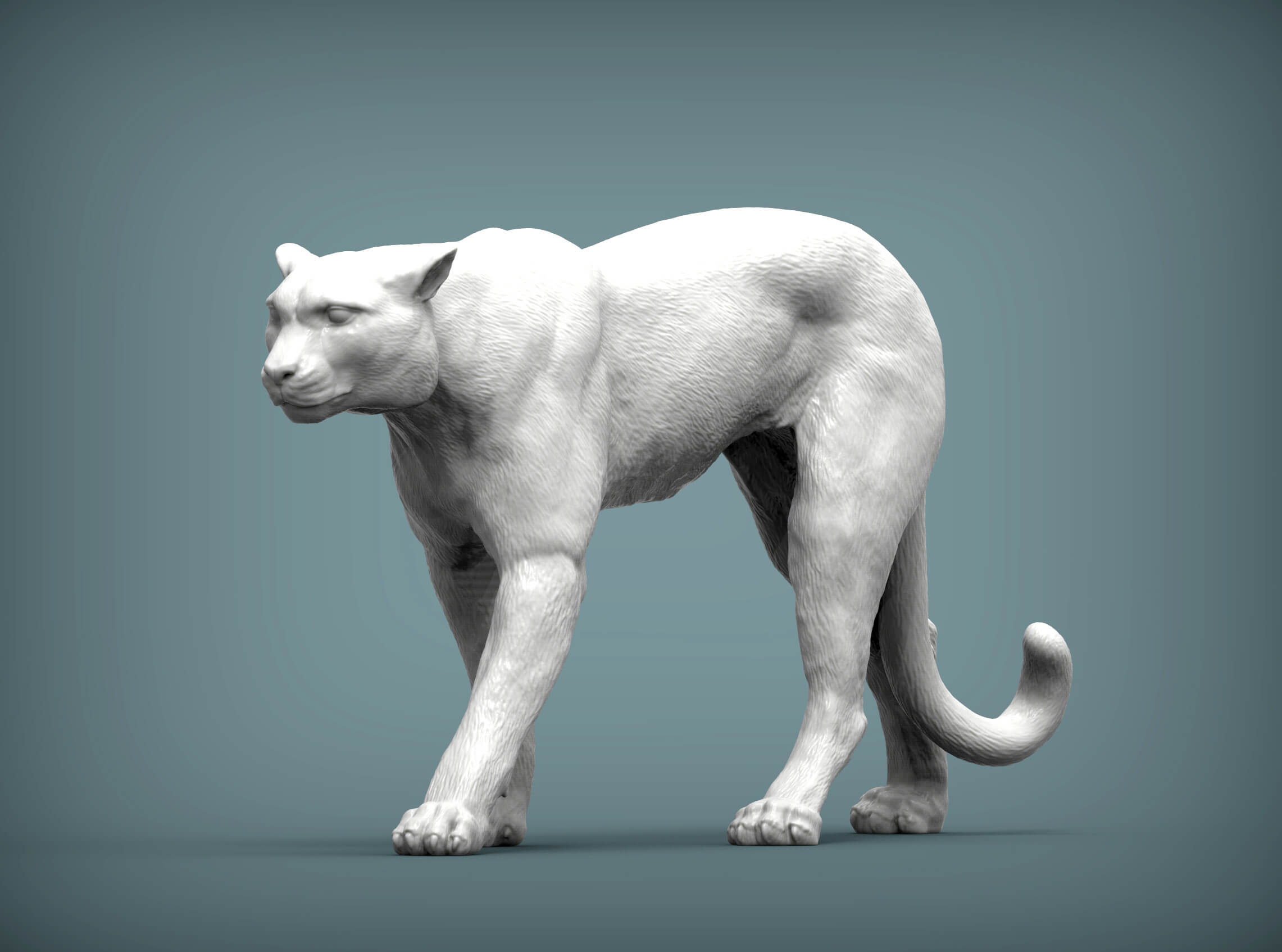 Cheetah 3D Print Model by Alexander3dart