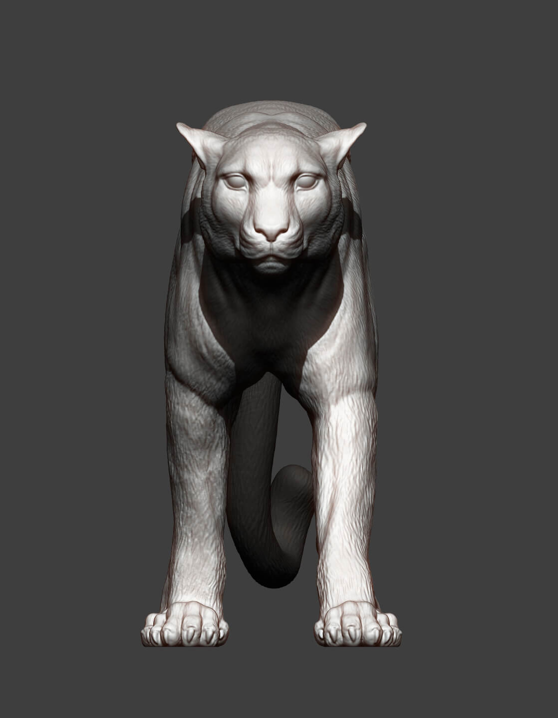 Cheetah 3D Print Model by Alexander3dart