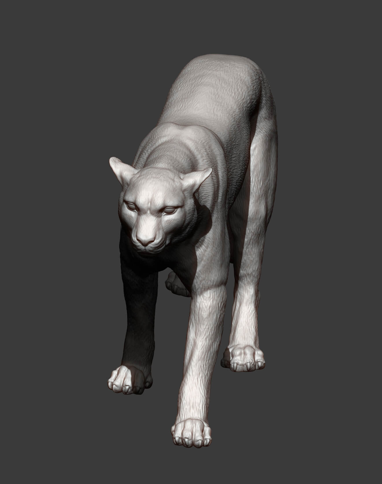 Cheetah 3D Print Model by Alexander3dart