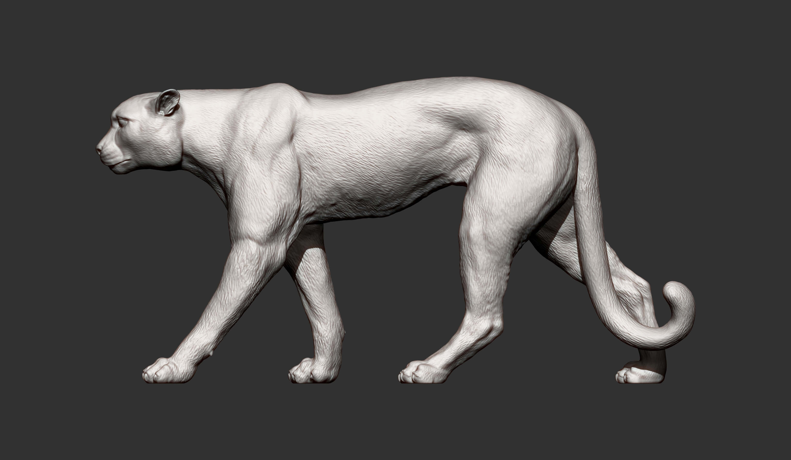 Cheetah 3D Print Model by Alexander3dart