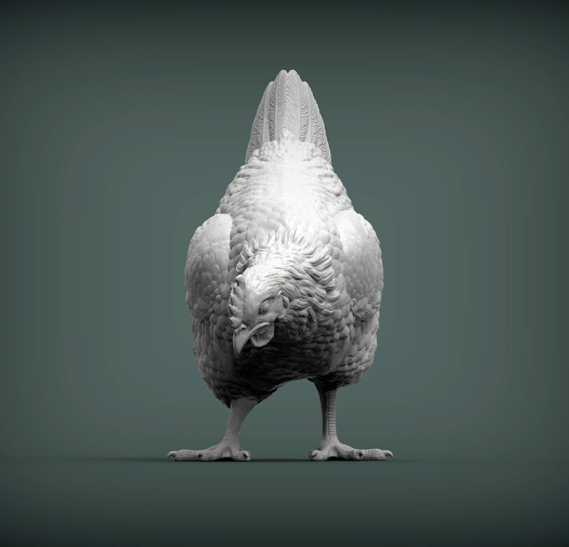 Chicken Looking for Food - 3D Model by Alexander3dart