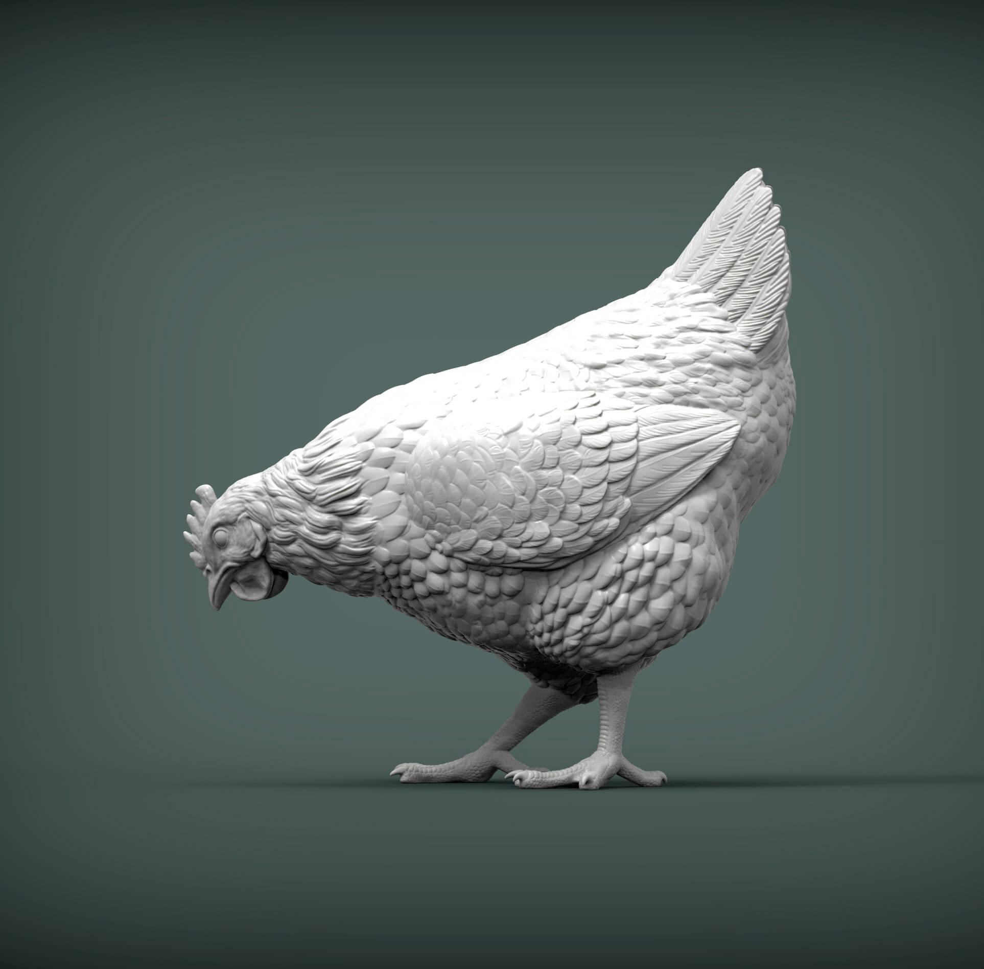 Chicken Looking for Food - 3D Model by Alexander3dart