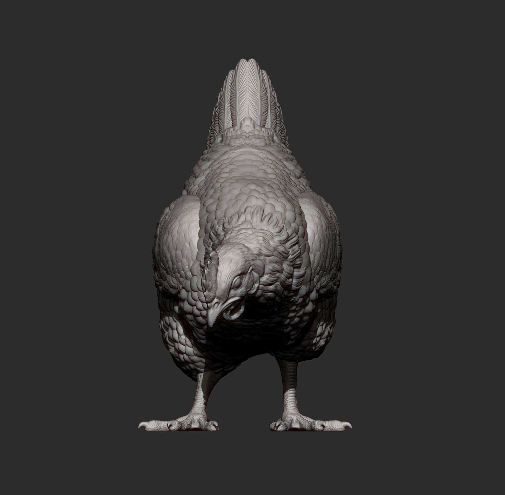 Chicken Looking for Food 3D Print Model by Alexander3dart