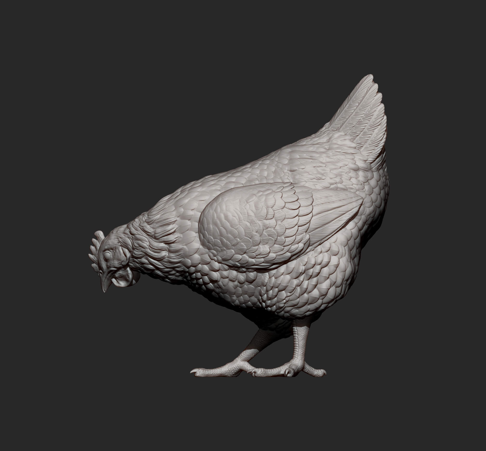 Chicken Looking for Food - 3D Model by Alexander3dart