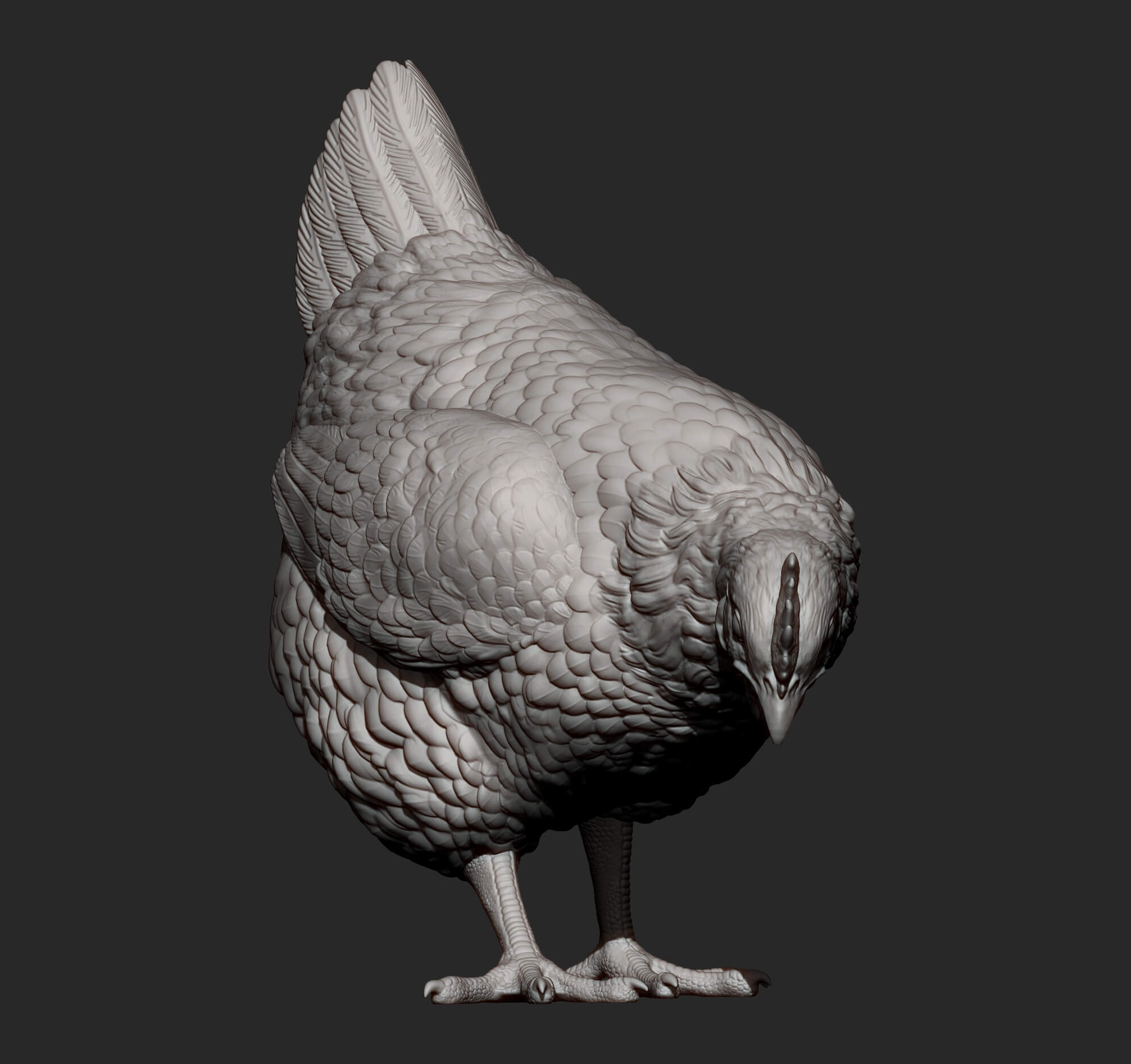 Chicken Looking for Food - 3D Model by Alexander3dart