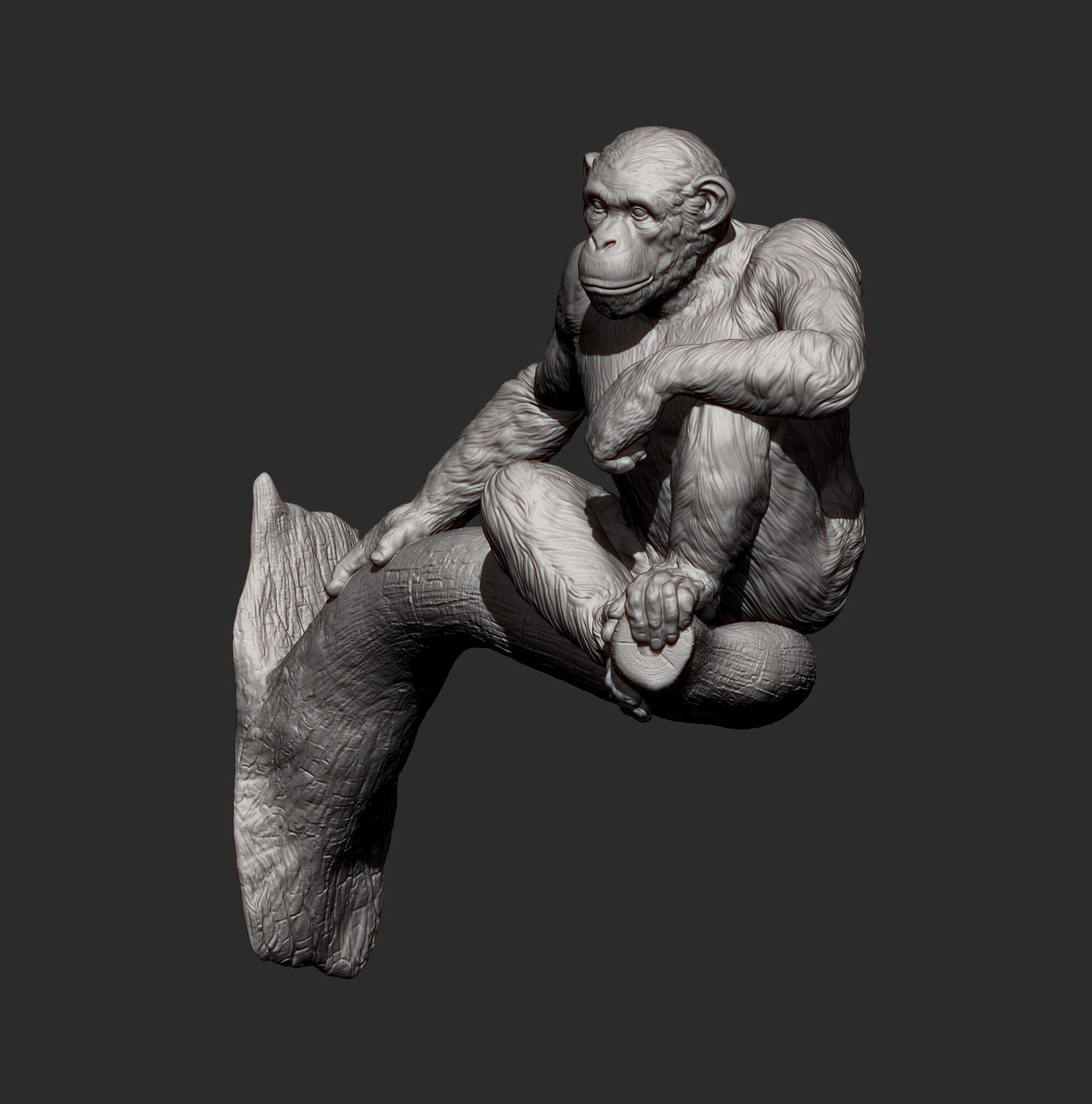 Chimpanzee Sculpture - 3D Model by Alexander3dart