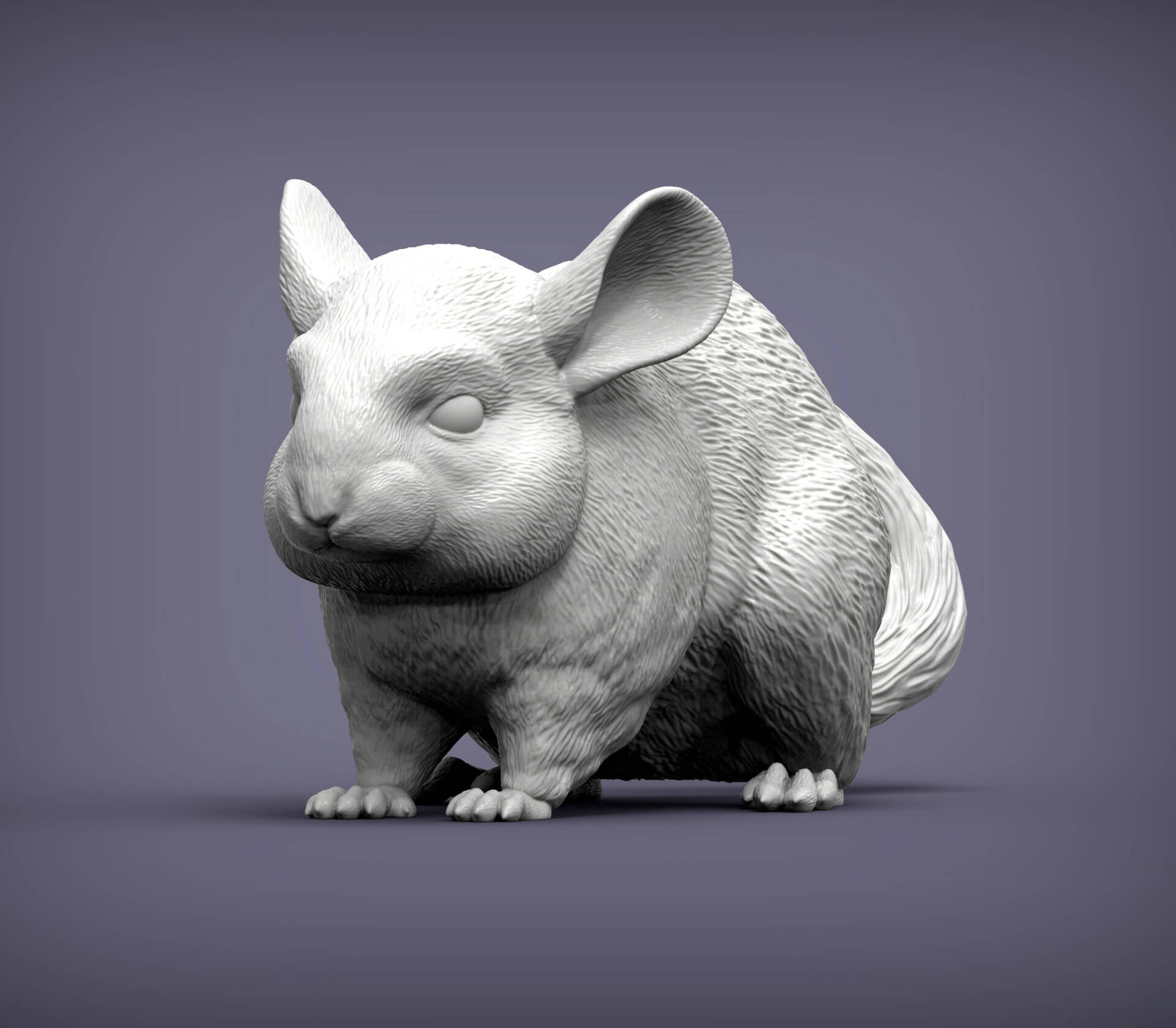 Chinchilla 3D Print Model by Alexander3dart