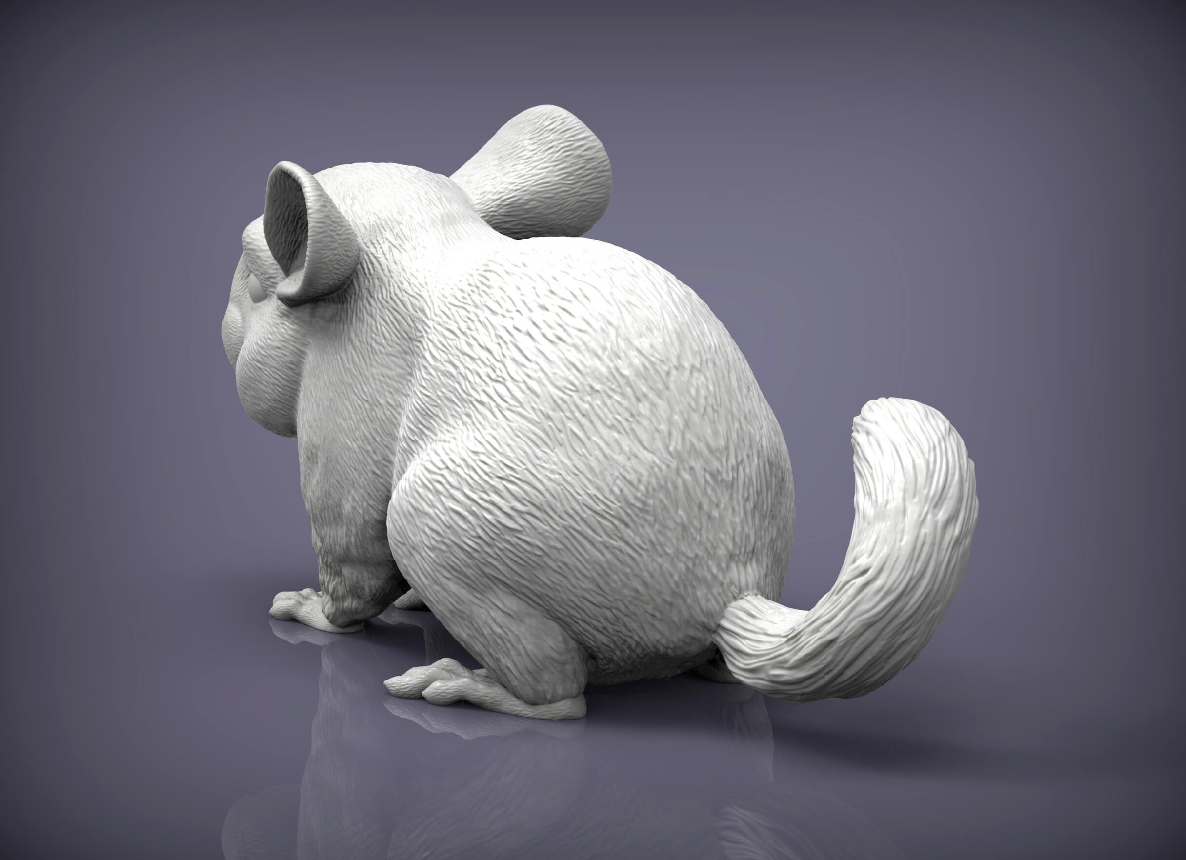 Chinchilla 3D Print Model by Alexander3dart