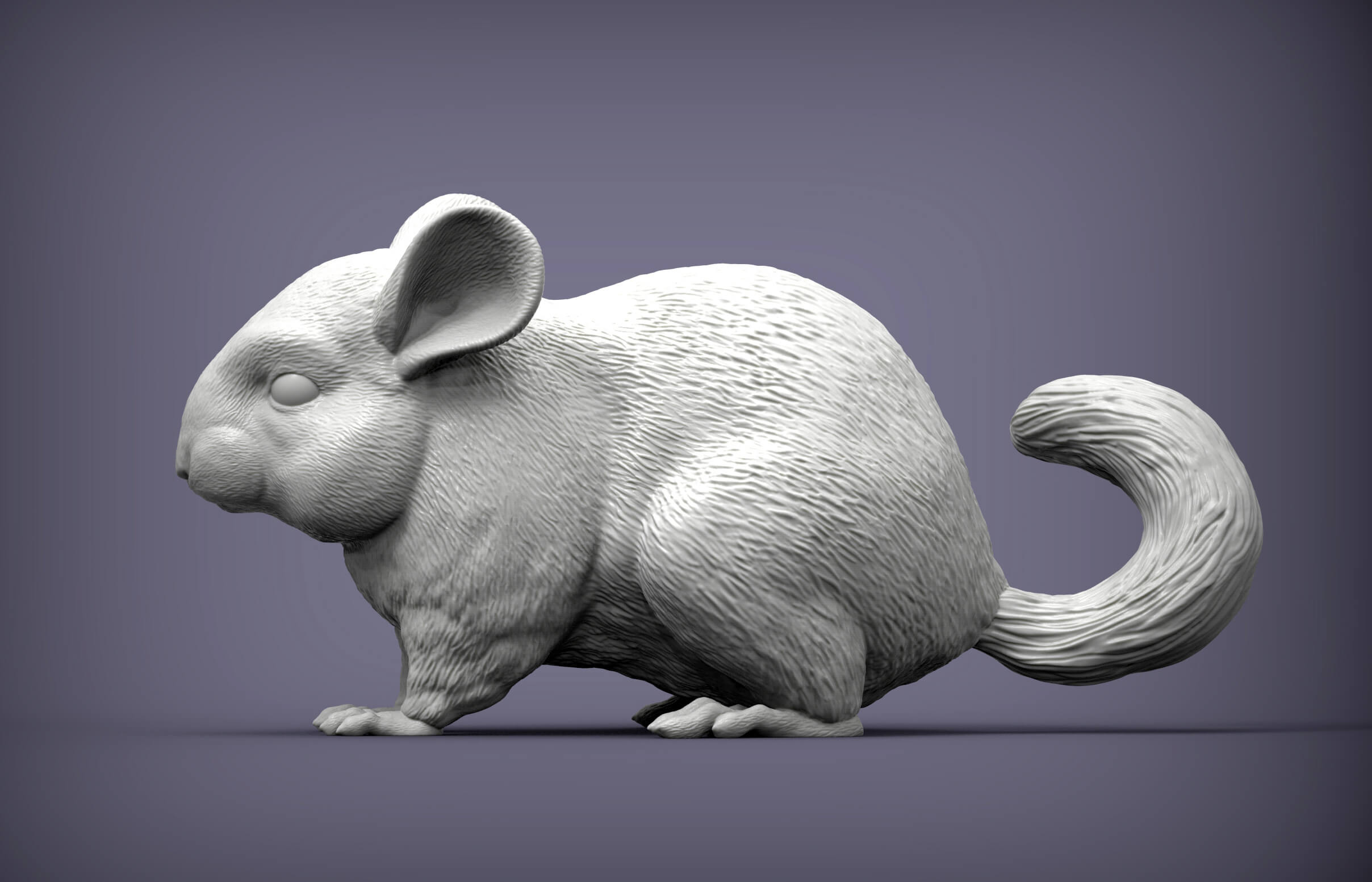 Chinchilla 3D Print Model by Alexander3dart