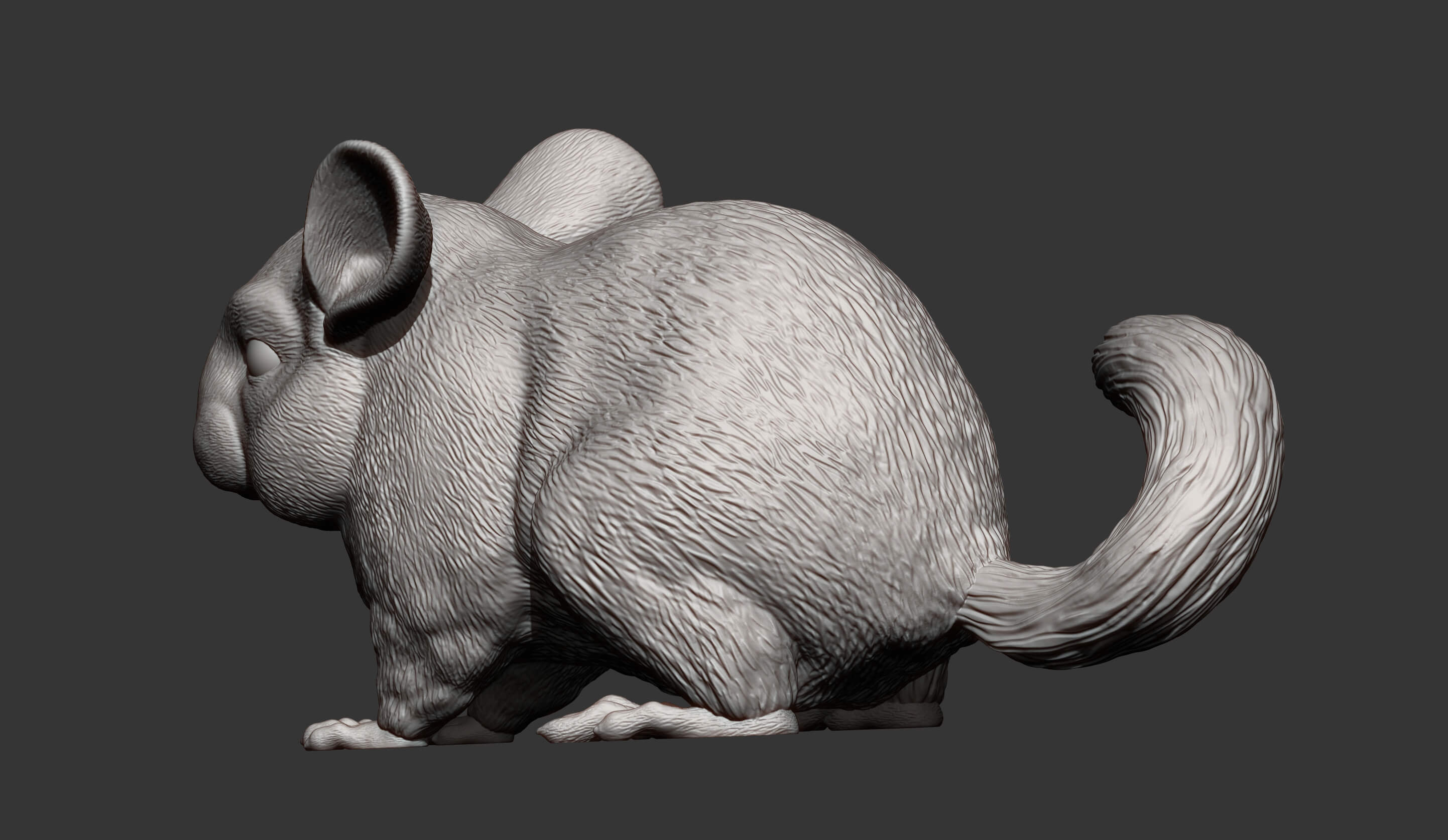 Chinchilla 3D Print Model by Alexander3dart