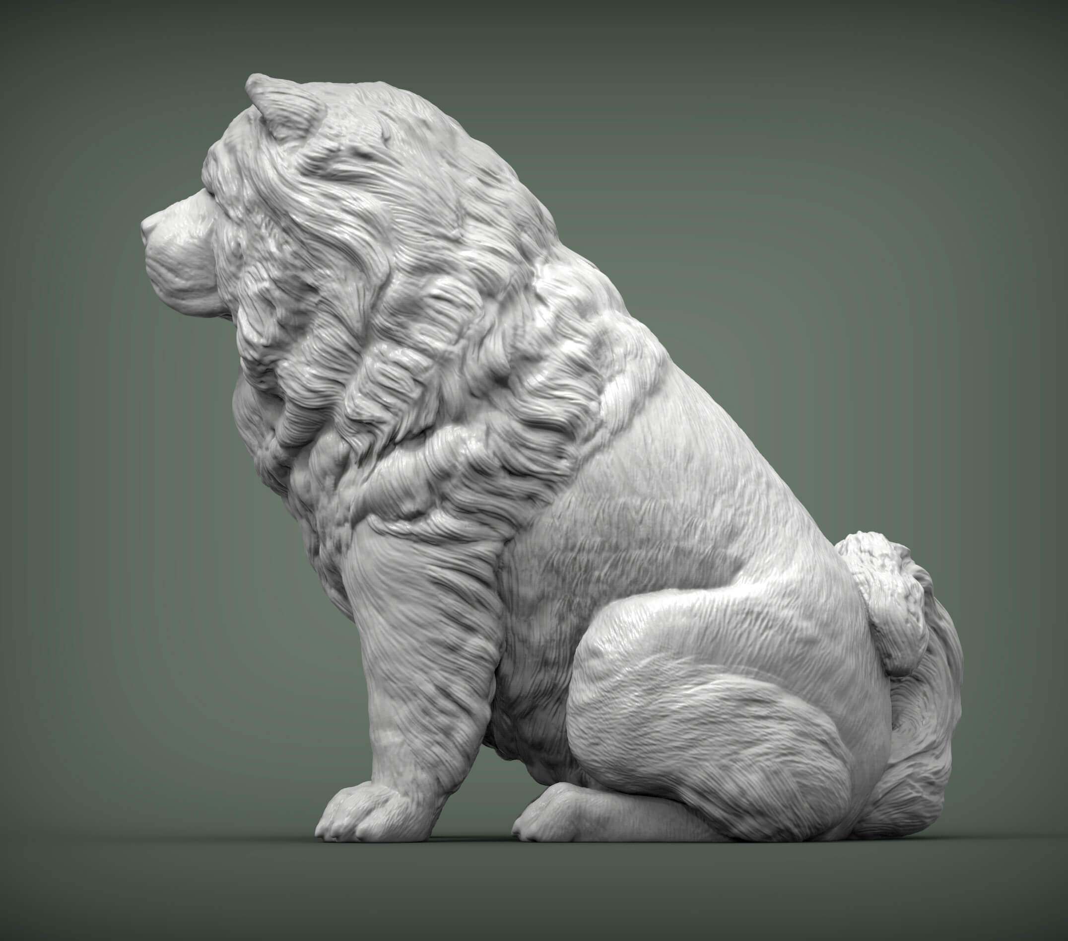 Chow Chow Sitting 3D Print Model by Alexander3dart