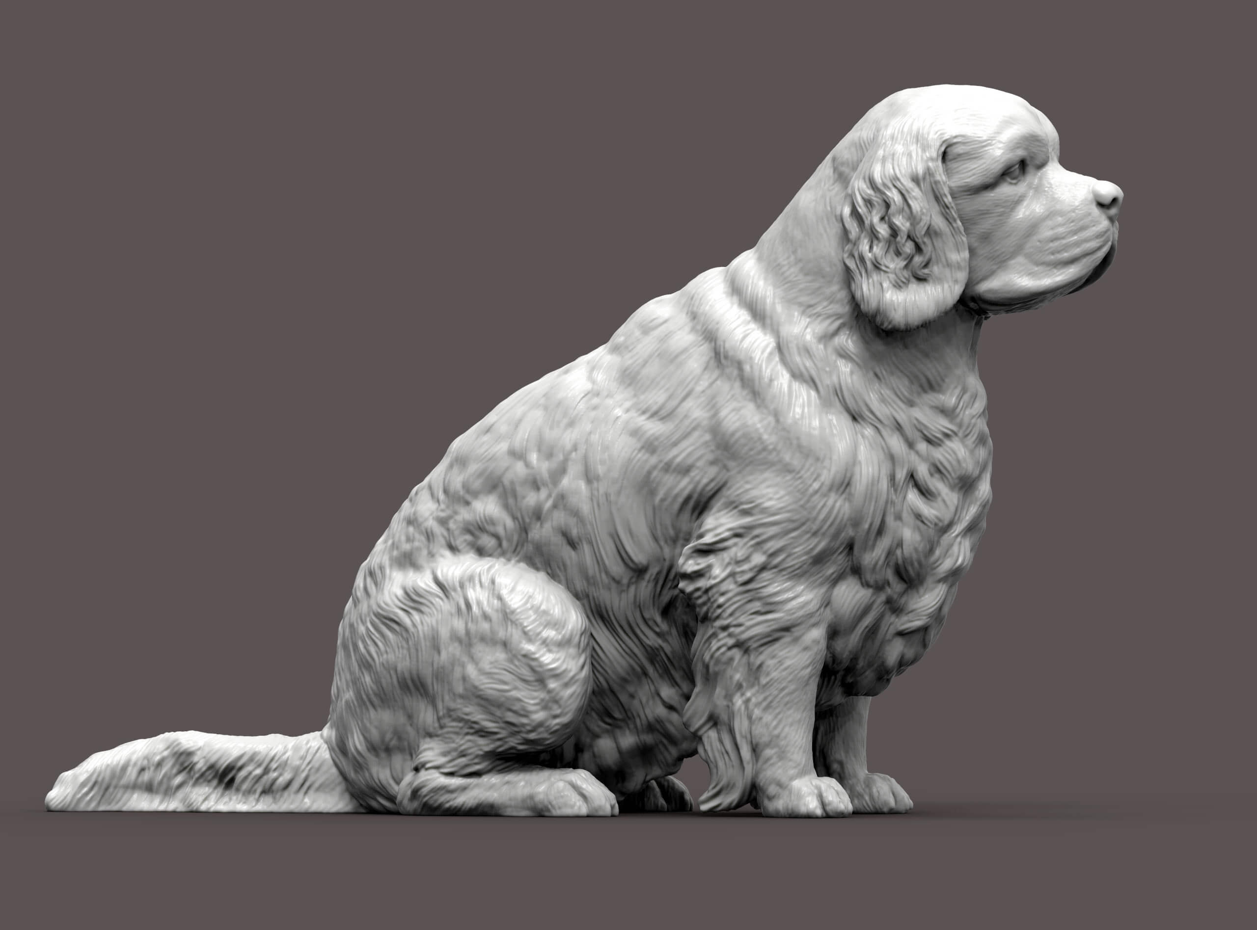 Clumber Spaniel Sitting - 3D Model by Alexander3dart