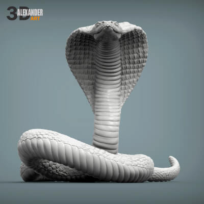 Ztl 3D Models | Animals | Snakes | RenderHub