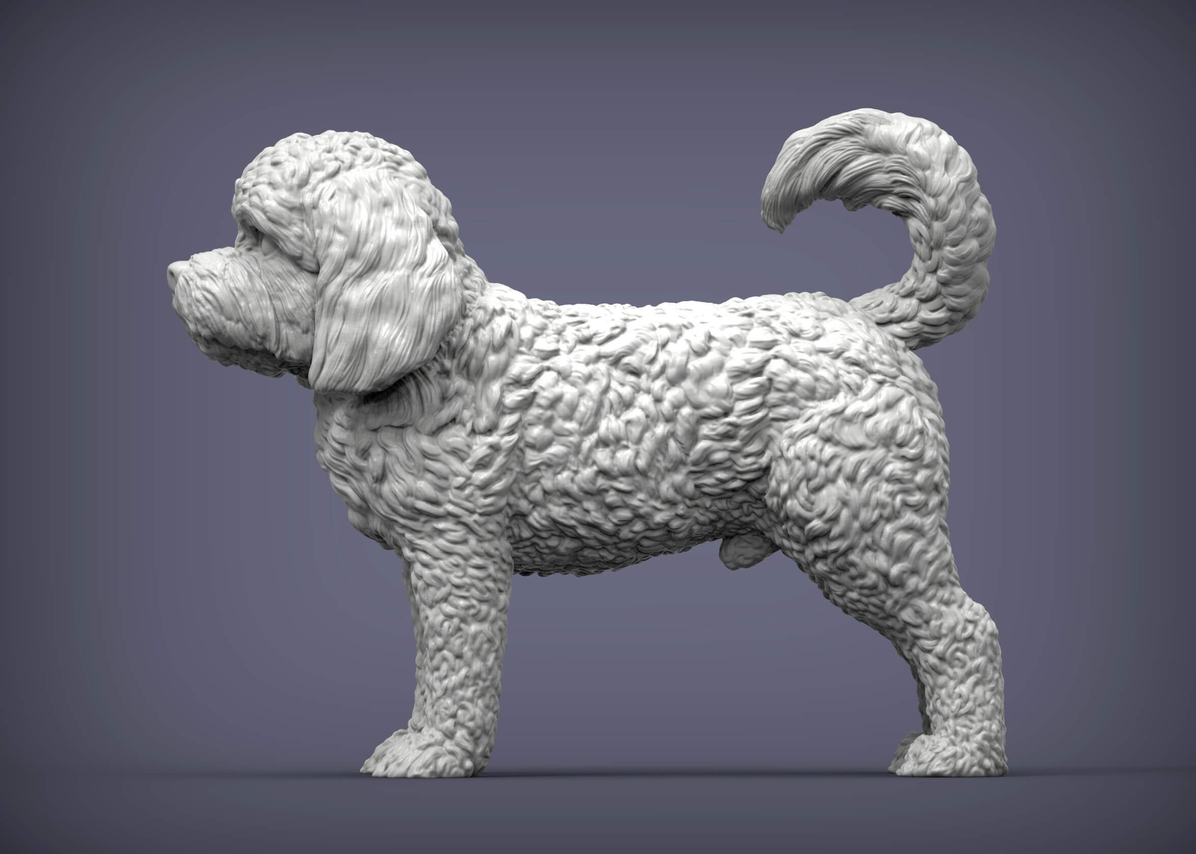 Cockerpoo 3D Print Model by Alexander3dart