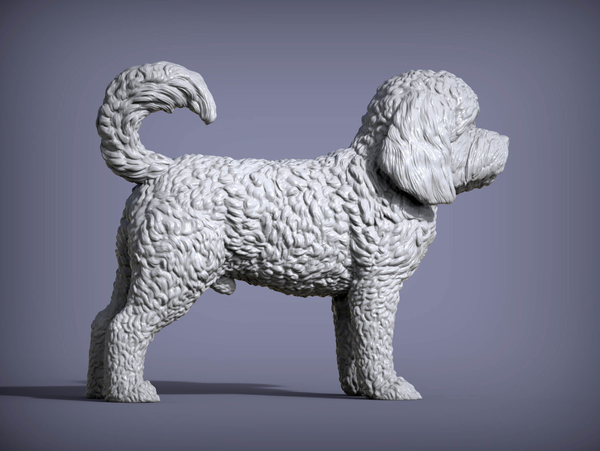 Cockerpoo 3D Print Model by Alexander3dart
