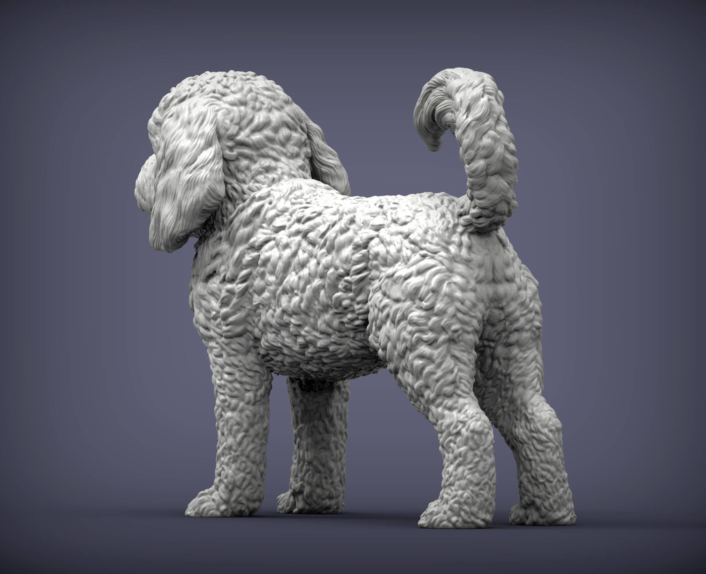 Cockerpoo 3D Print Model by Alexander3dart