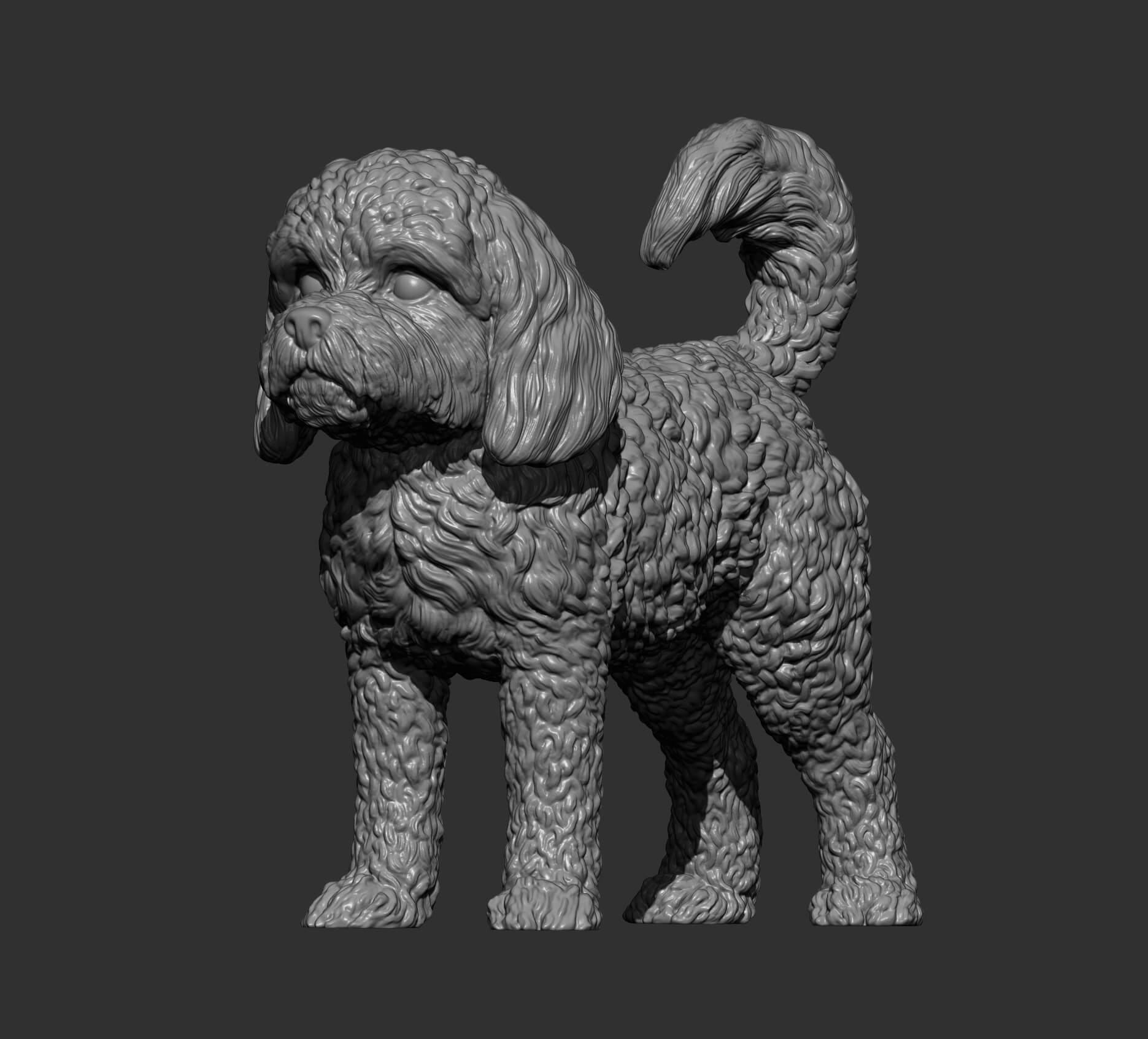 Cockerpoo 3D Print Model by Alexander3dart