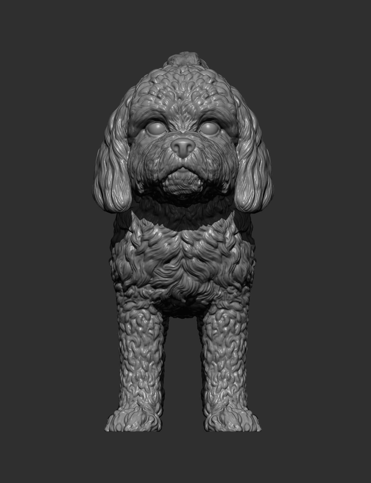 Cockerpoo 3D Print Model by Alexander3dart