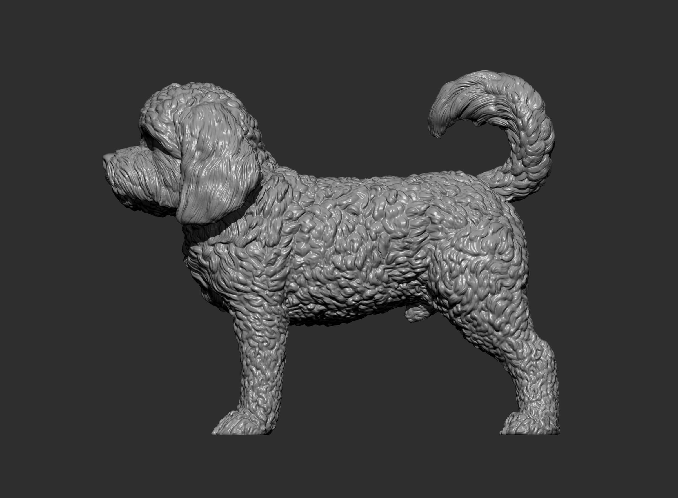 Cockerpoo 3D Print Model by Alexander3dart