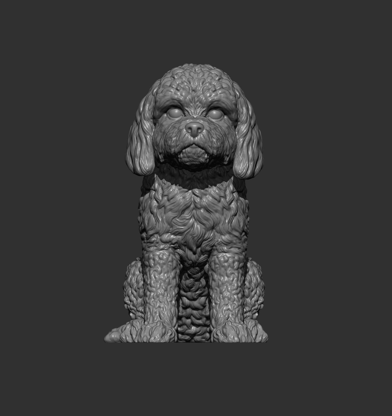 Cockerpoo Sitting - 3D Model by Alexander3dart