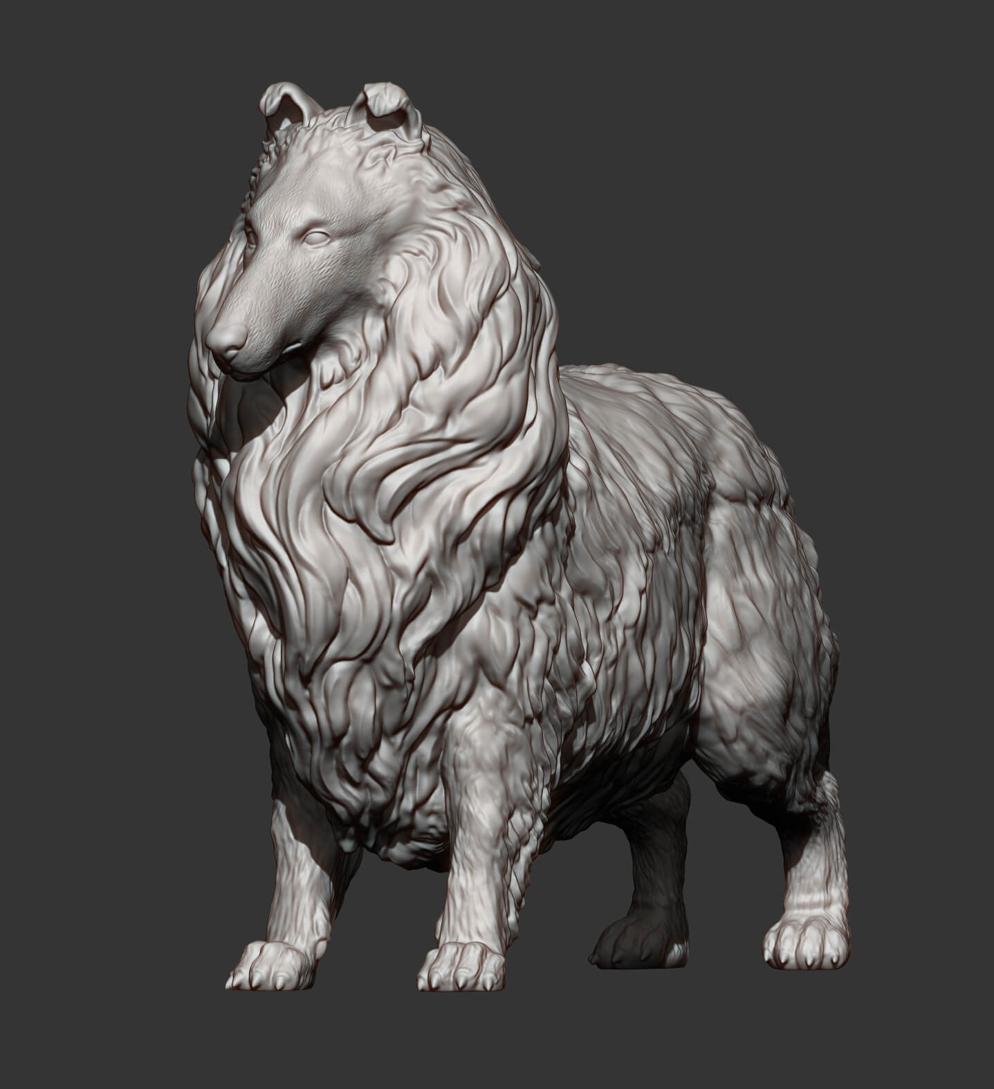 Collie Sculpture - 3D Model by Alexander3dart