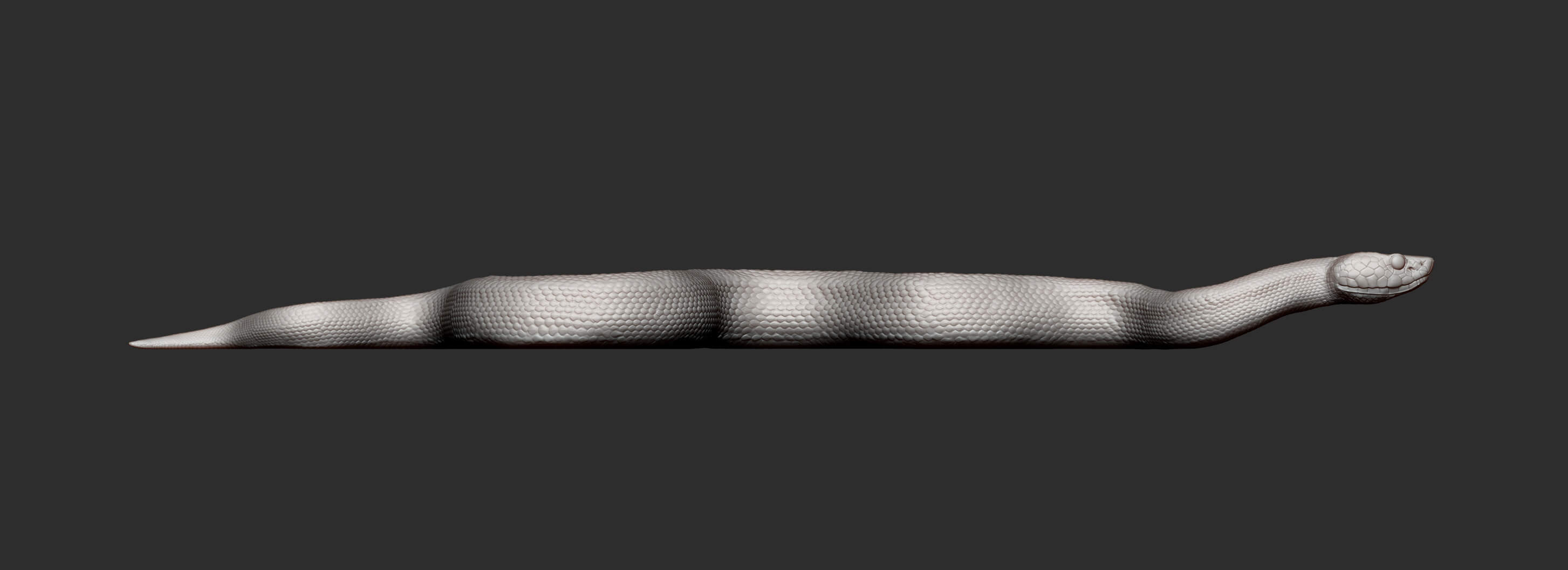 Copperhead 3D Print Model by Alexander3dart