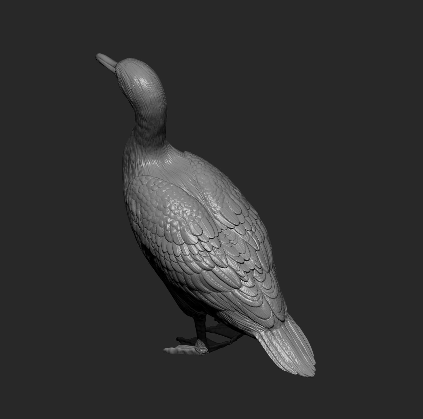 Cormorant Sculpture - 3D Model by Alexander3dart