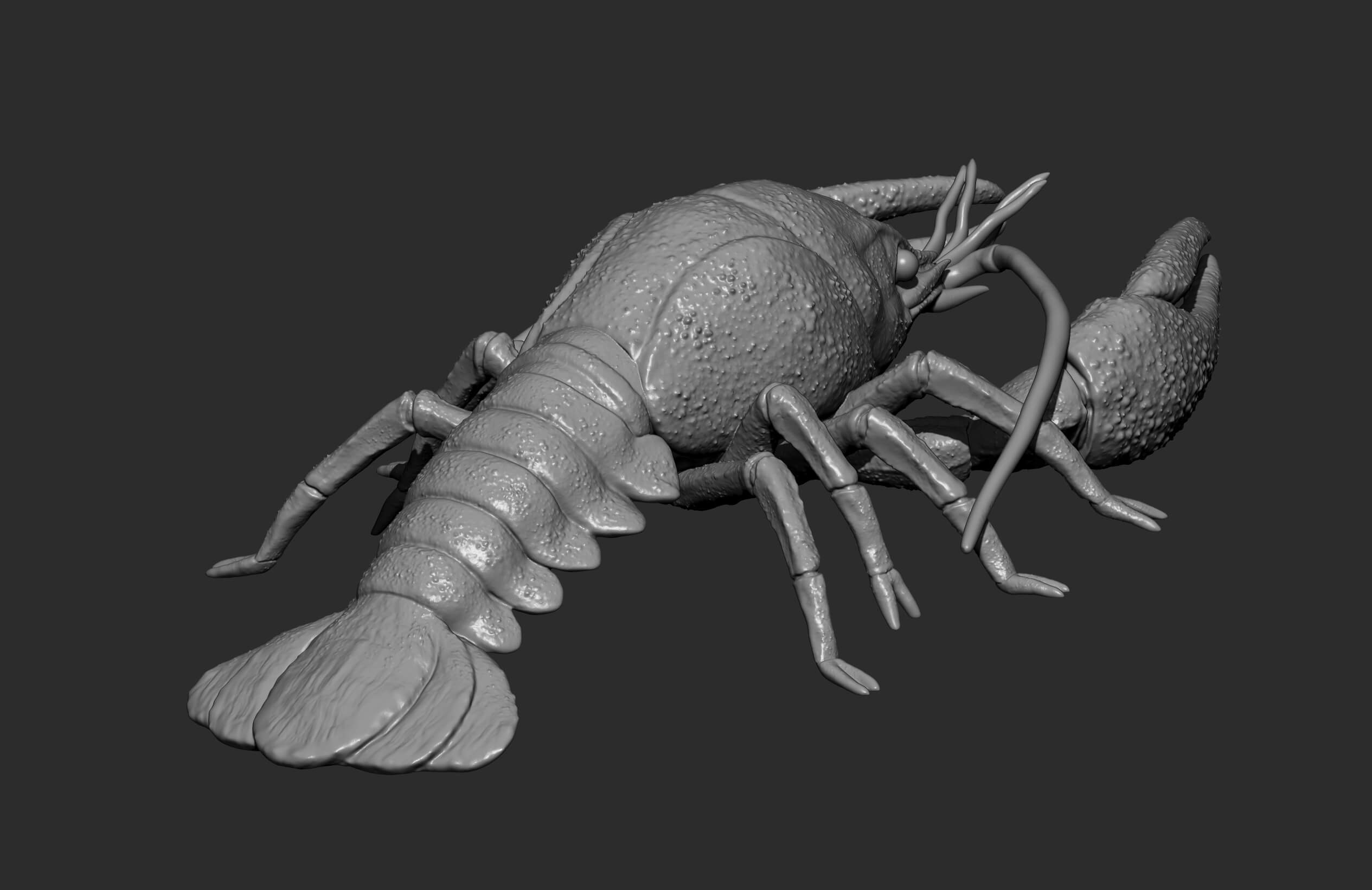 Crayfish Sculpture - 3D Model by Alexander3dart
