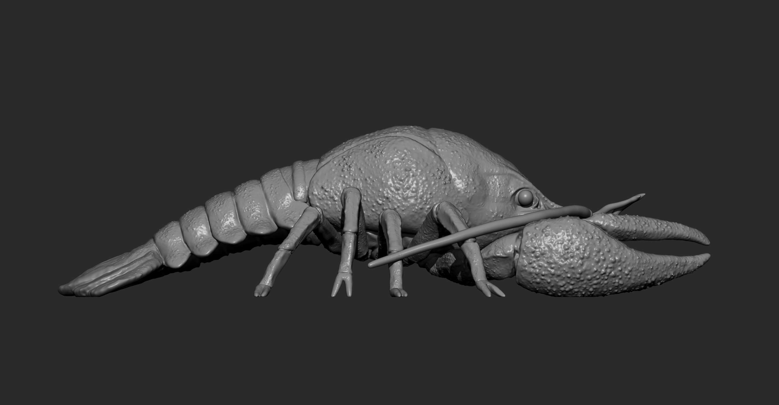 Crayfish Sculpture - 3D Model by Alexander3dart