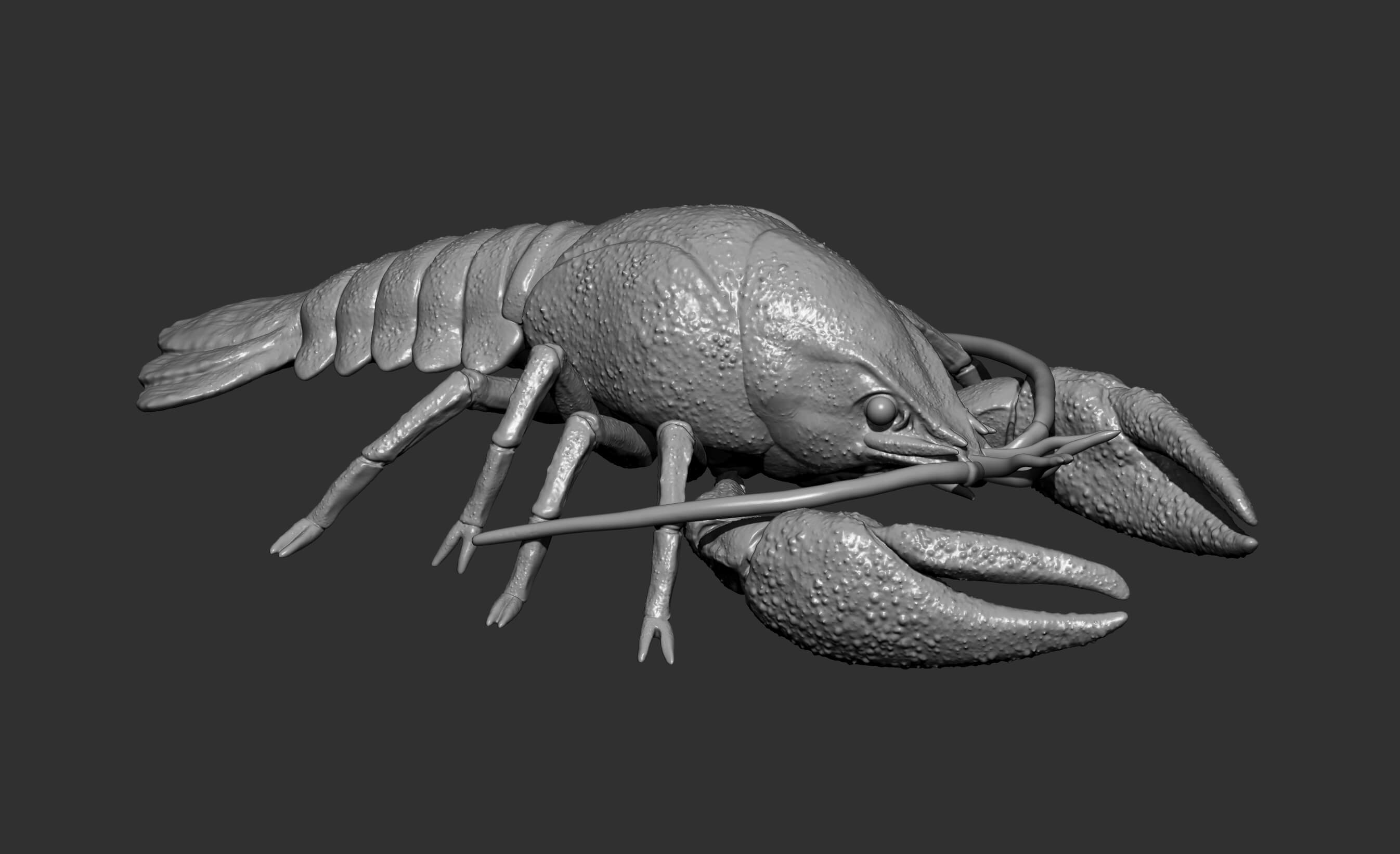 Crayfish Sculpture - 3D Model by Alexander3dart