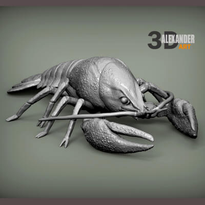 Crayfish Sculpture - 3D Model by Alexander3dart